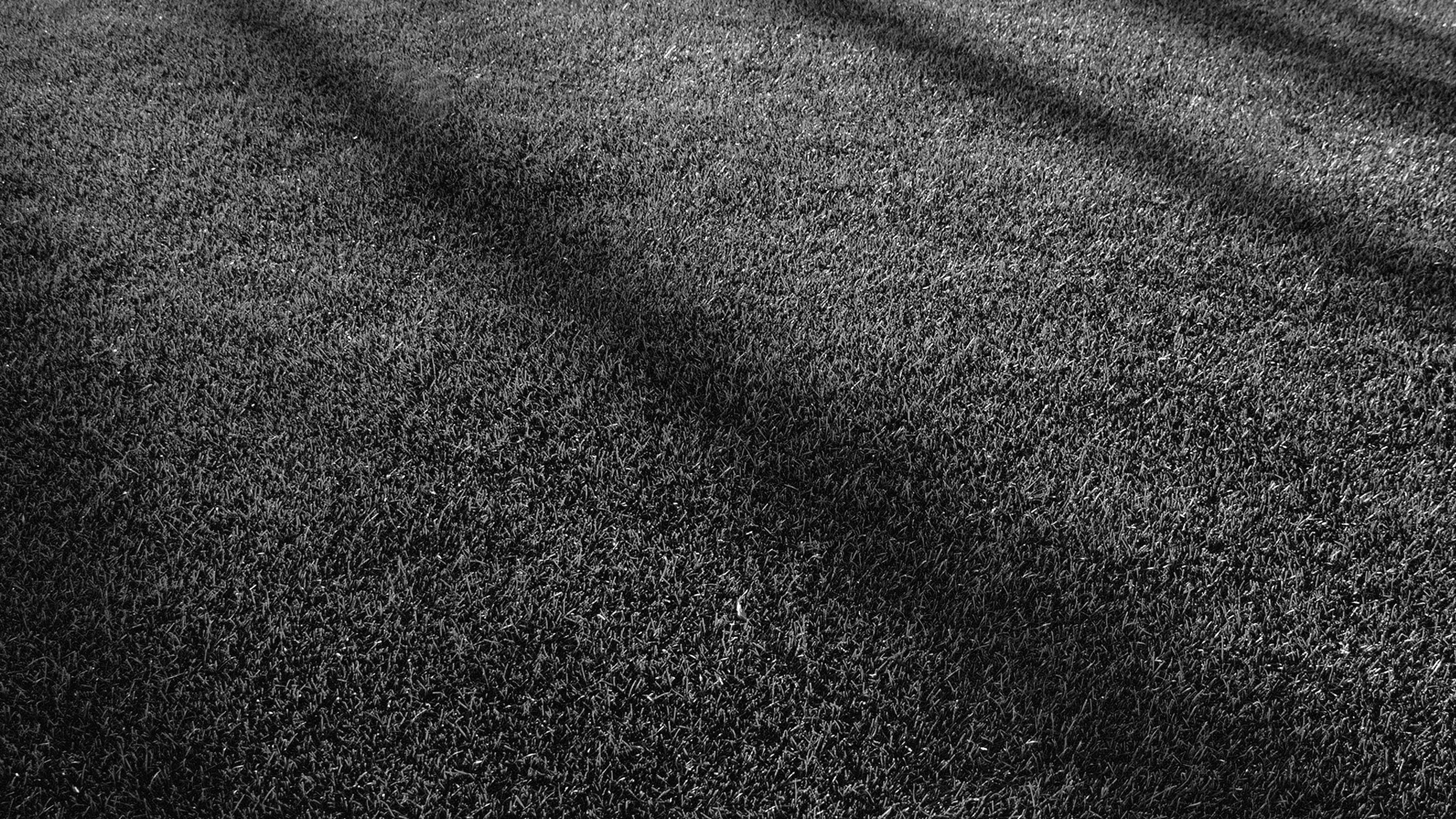 Dark Grass Wallpapers - Top Free Dark Grass Backgrounds - WallpaperAccess