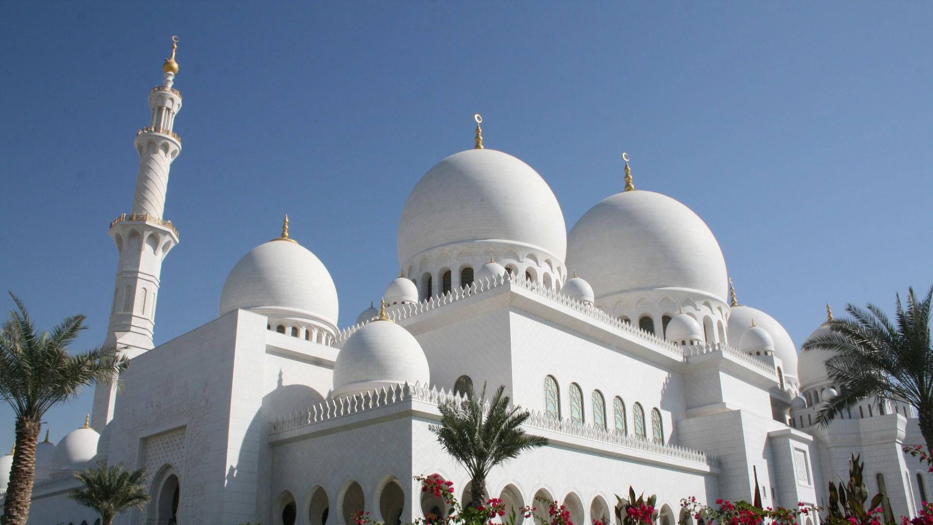 White Mosque Wallpapers - Top Free White Mosque Backgrounds ...