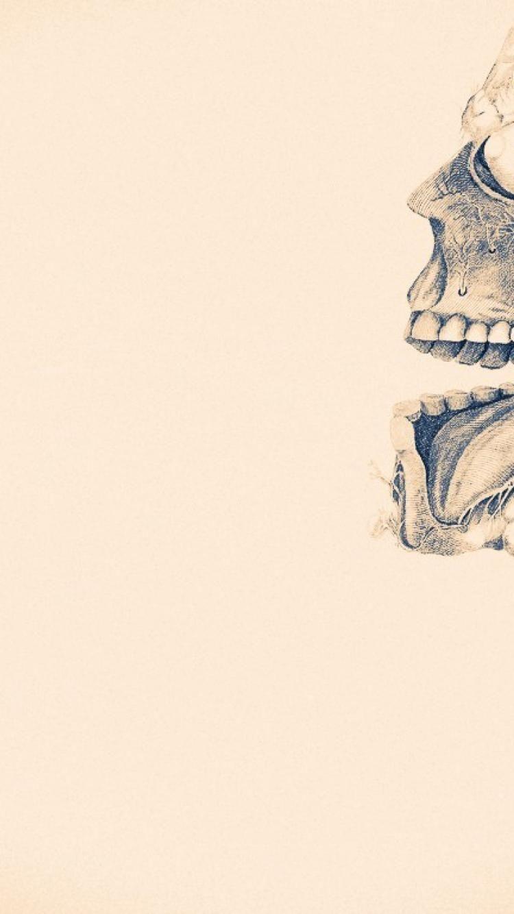 Anatomy iPhone Wallpapers - Top Free Anatomy iPhone Backgrounds ...