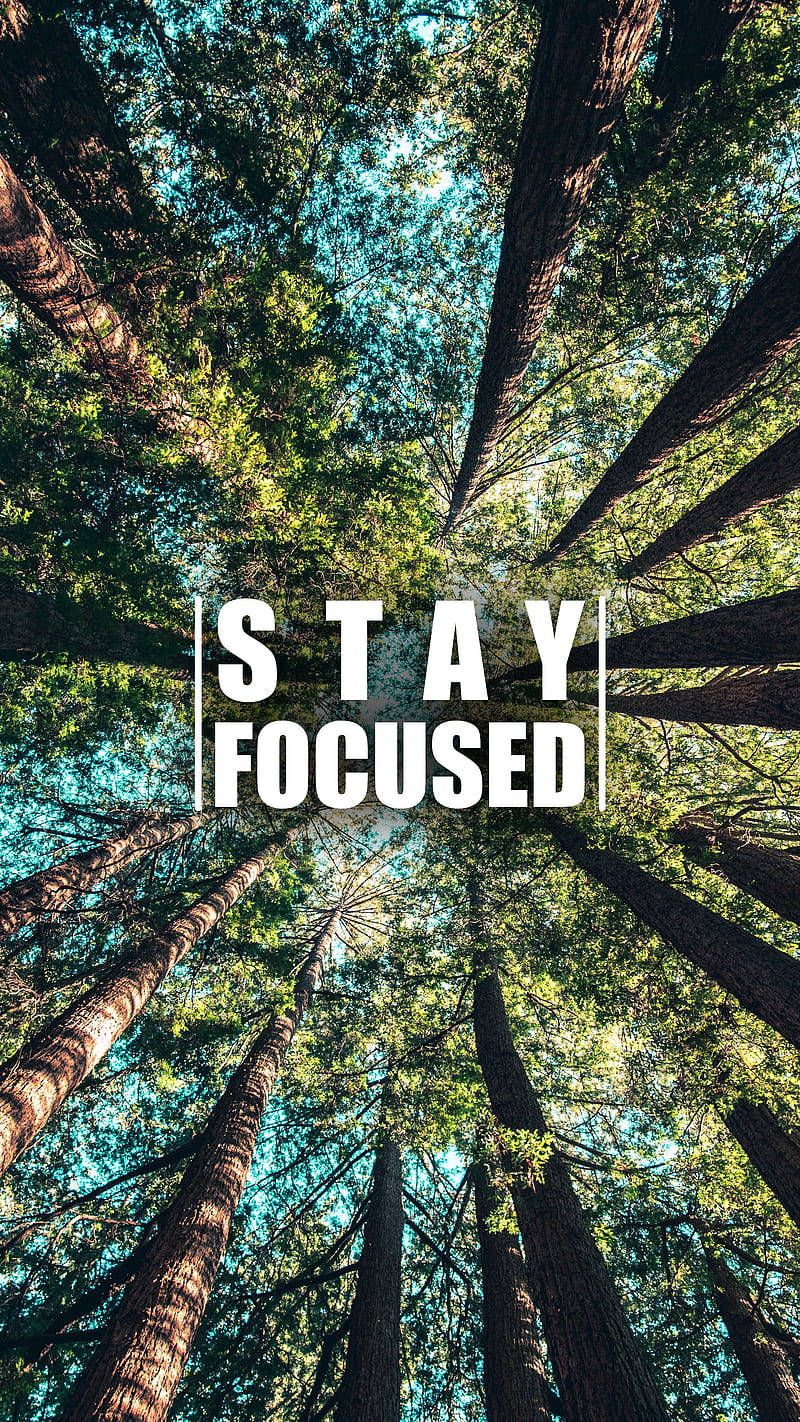 Focus Motivation Wallpapers - Top Free Focus Motivation Backgrounds ...