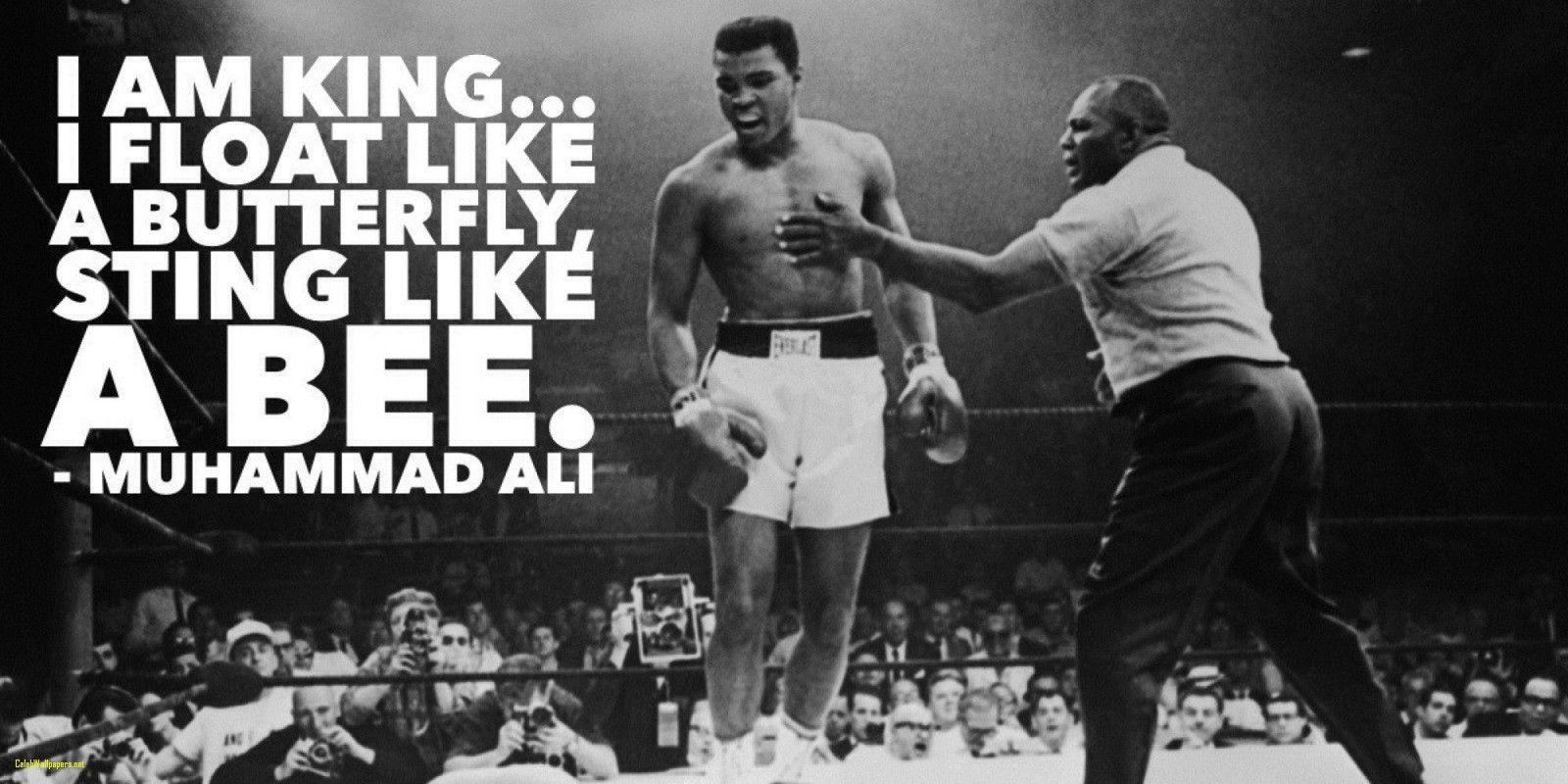 Muhammad Ali Wallpapers - Top Những Hình Ảnh Đẹp