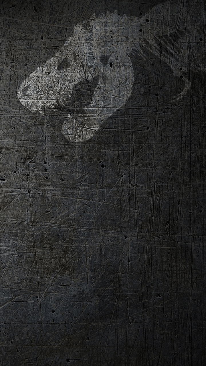 T-Rex Wallpapers - Top Free T-Rex Backgrounds - WallpaperAccess