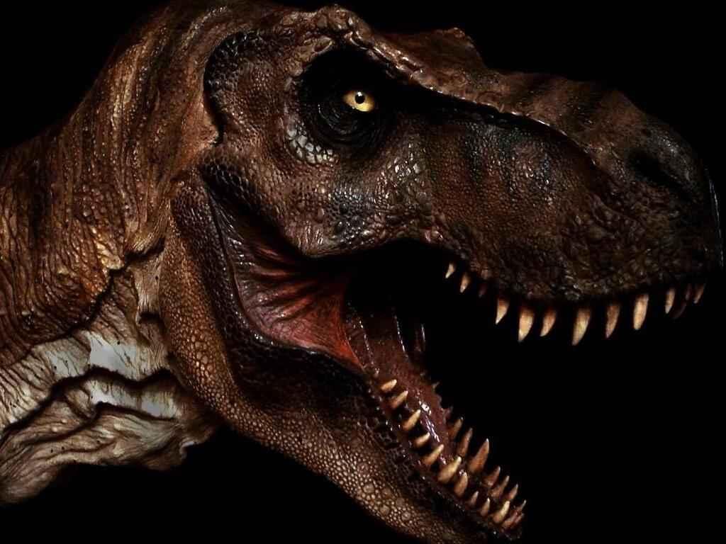 T-Rex Wallpapers - Top Free T-Rex Backgrounds - WallpaperAccess