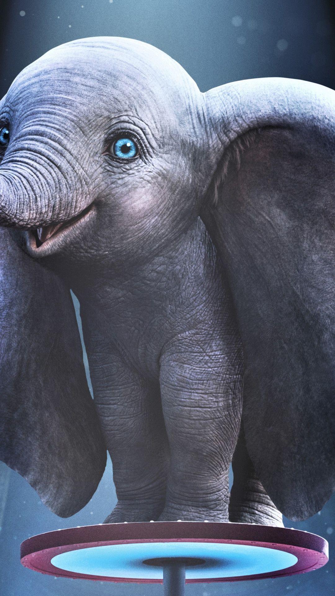 Dumbo Wallpapers - Top Free Dumbo Backgrounds - WallpaperAccess