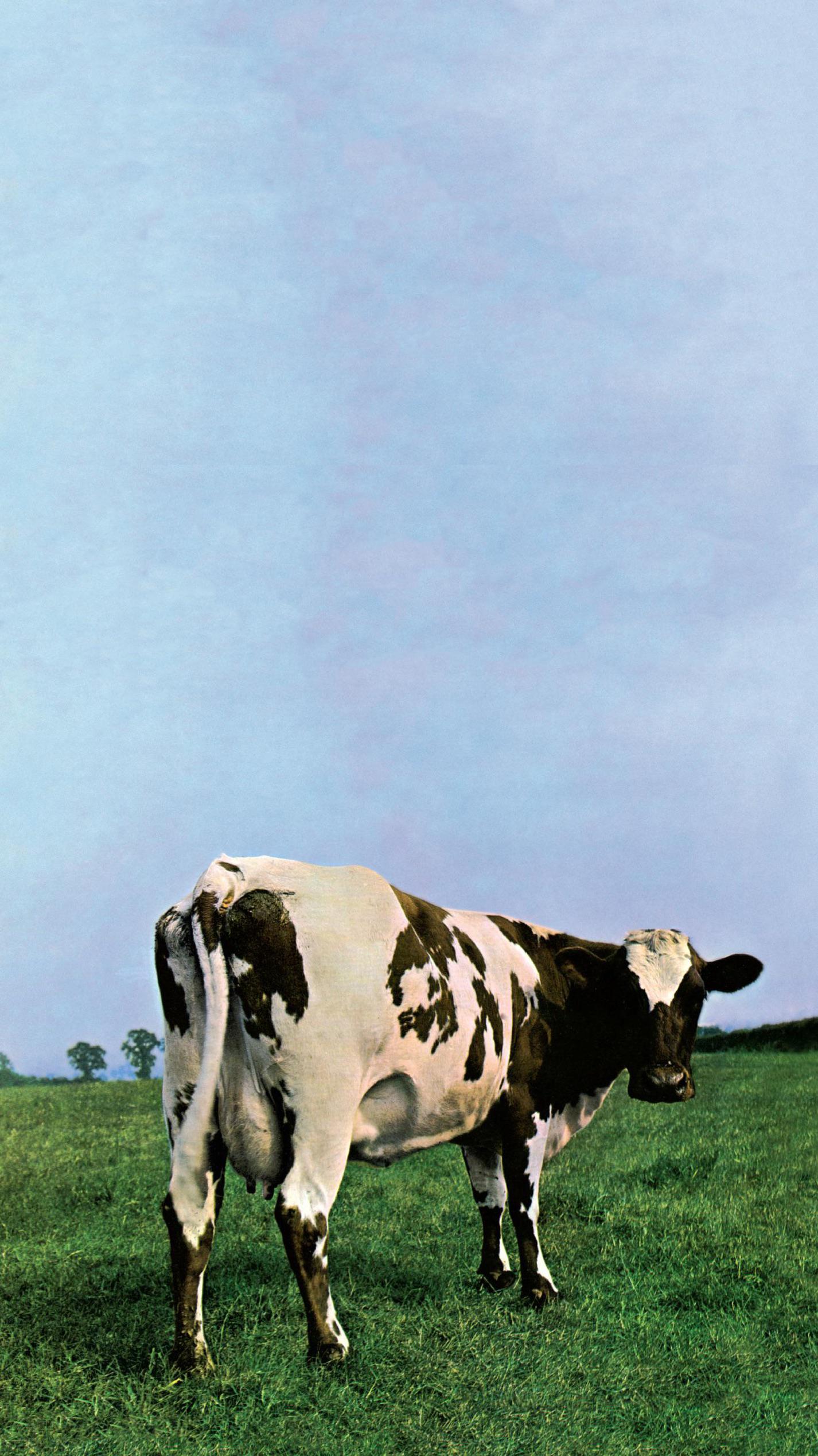 Atom Heart Mother Wallpapers - Top Free Atom Heart Mother Backgrounds ...