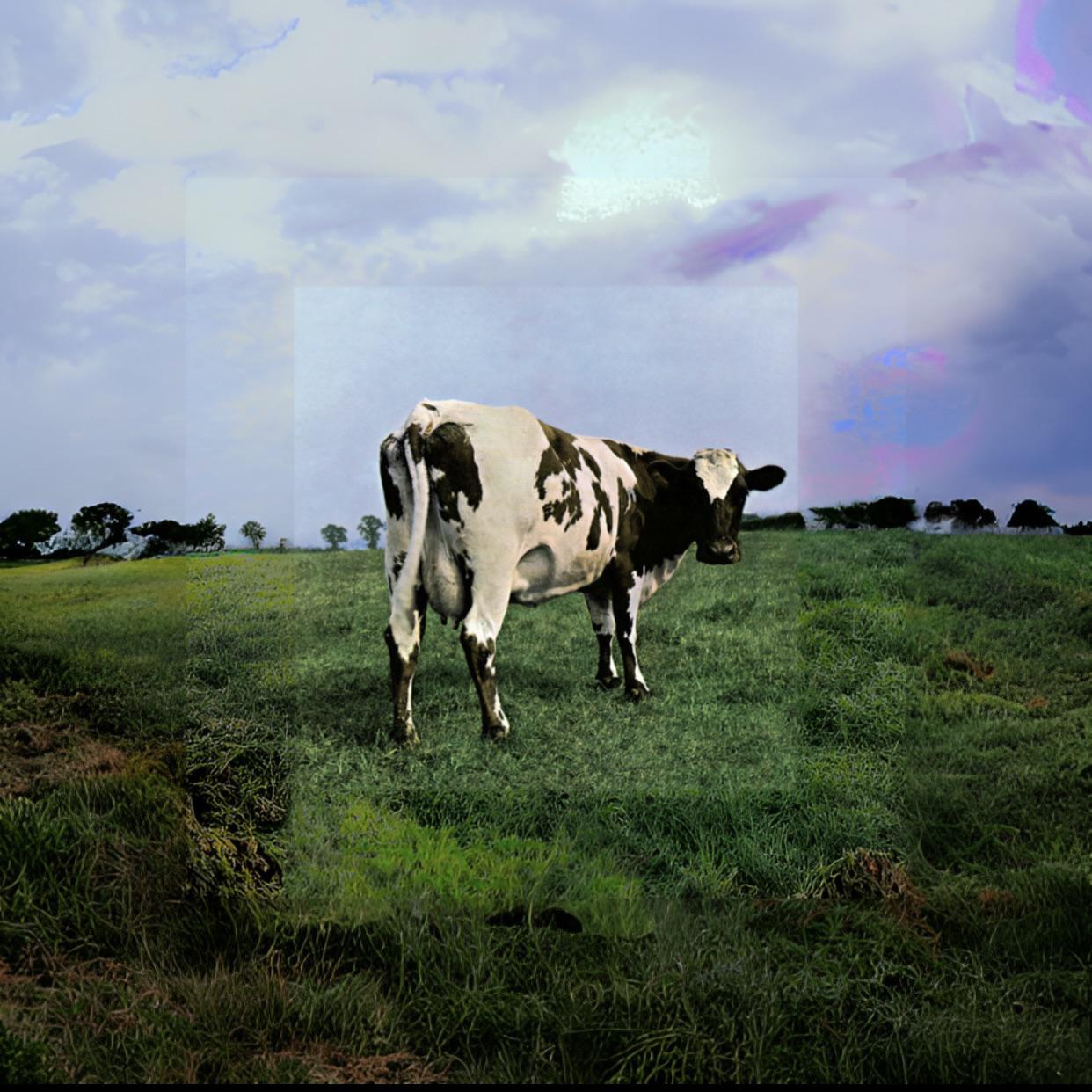 Atom Heart Mother Wallpapers - Top Free Atom Heart Mother Backgrounds ...