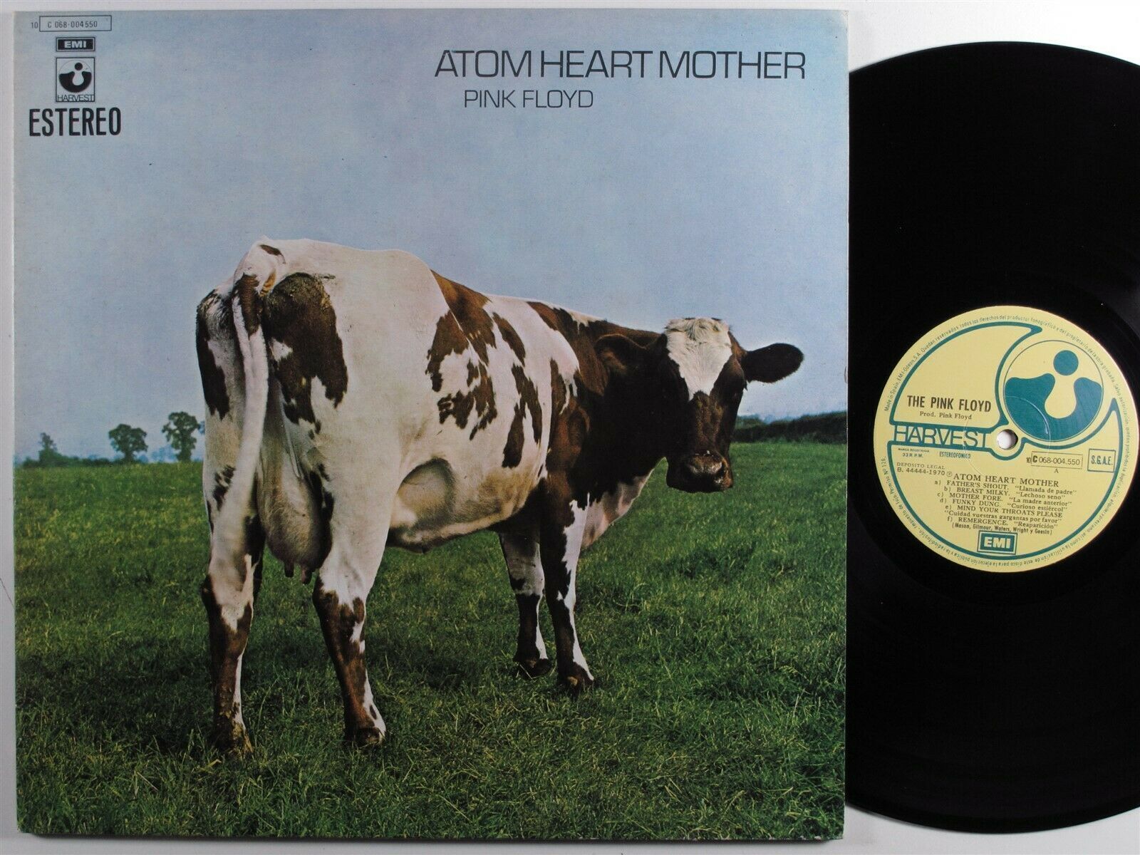 Atom Heart Mother Wallpapers - Top Free Atom Heart Mother Backgrounds ...