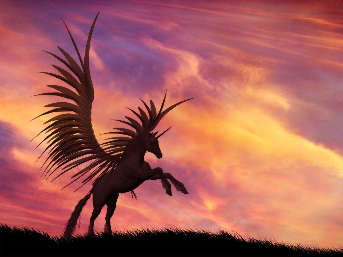 Pegasus Wallpapers - Top Free Pegasus Backgrounds - WallpaperAccess