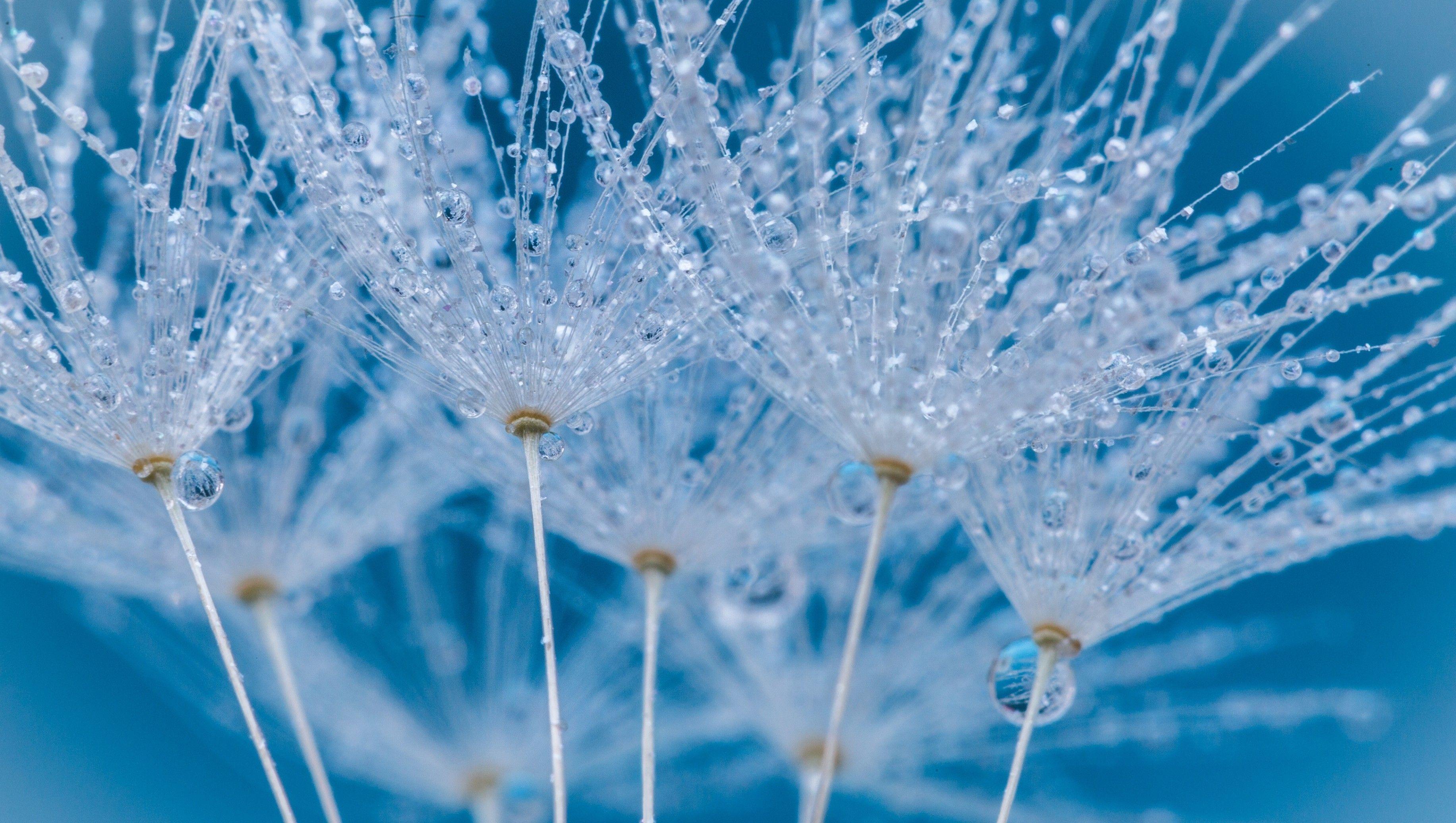 Transparent Wallpapers - Top Free Transparent Backgrounds - WallpaperAccess