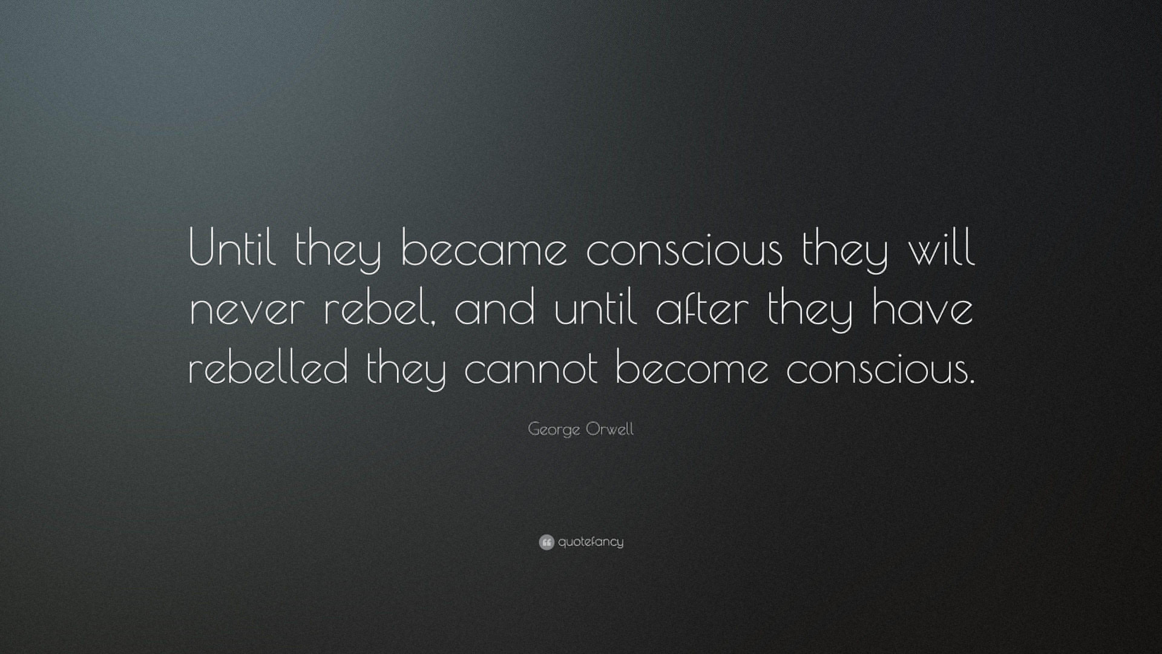 Typography Wallpapers - Top Free Typography Backgrounds - WallpaperAccess