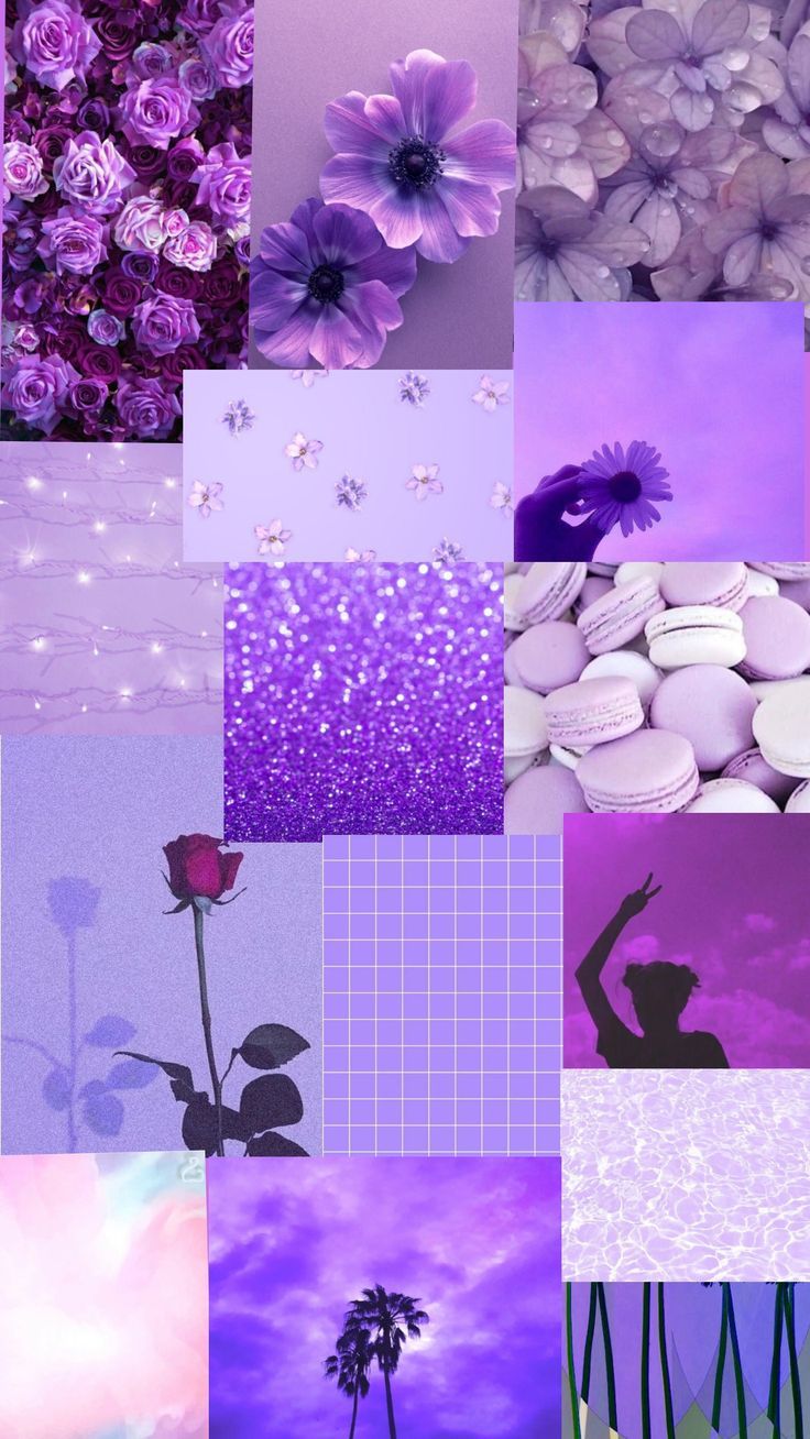 Purple Portrait Wallpapers - Top Free Purple Portrait Backgrounds ...