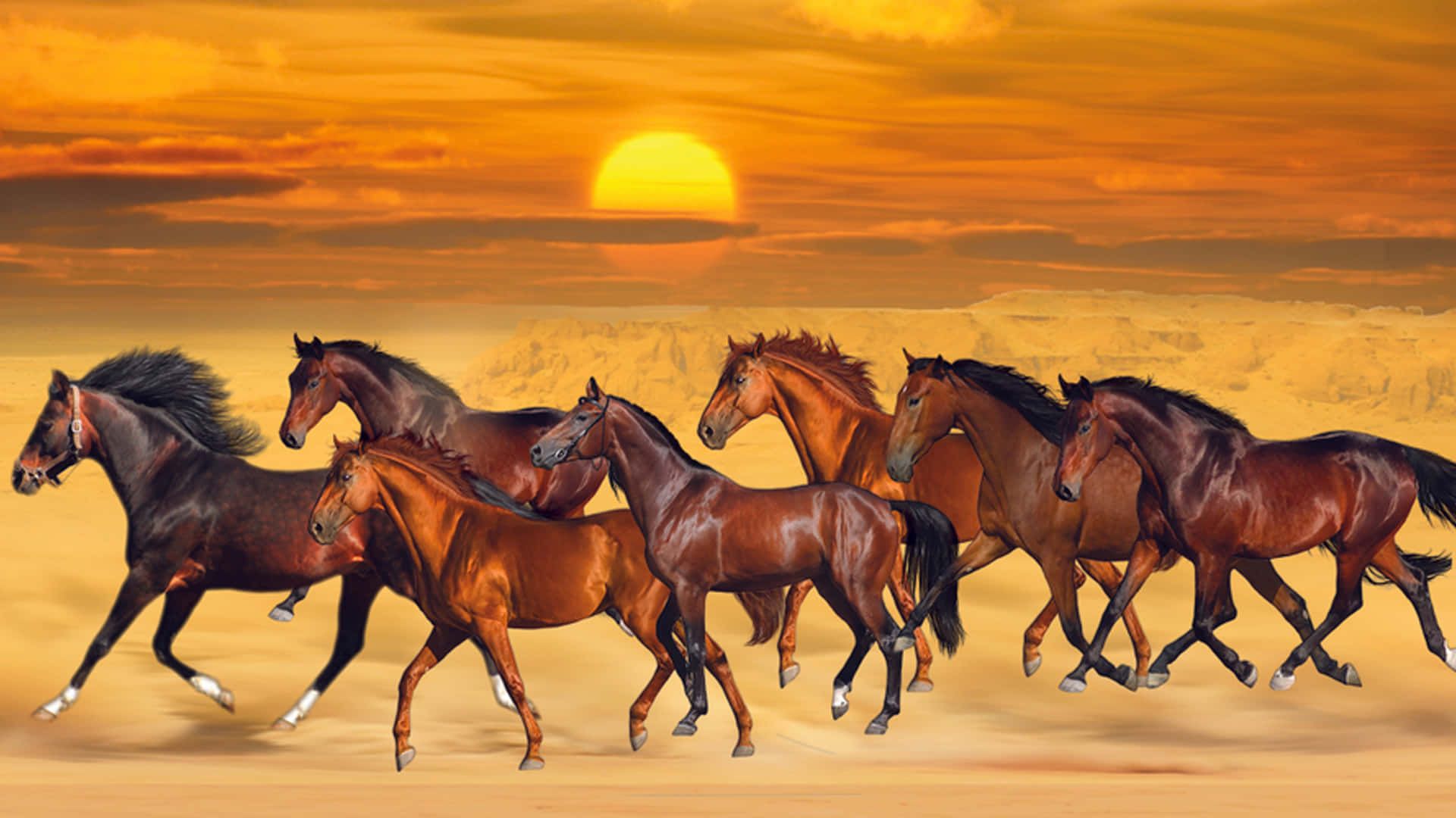 Seven Running Horses Wallpapers - Top Free Seven Running Horses ...