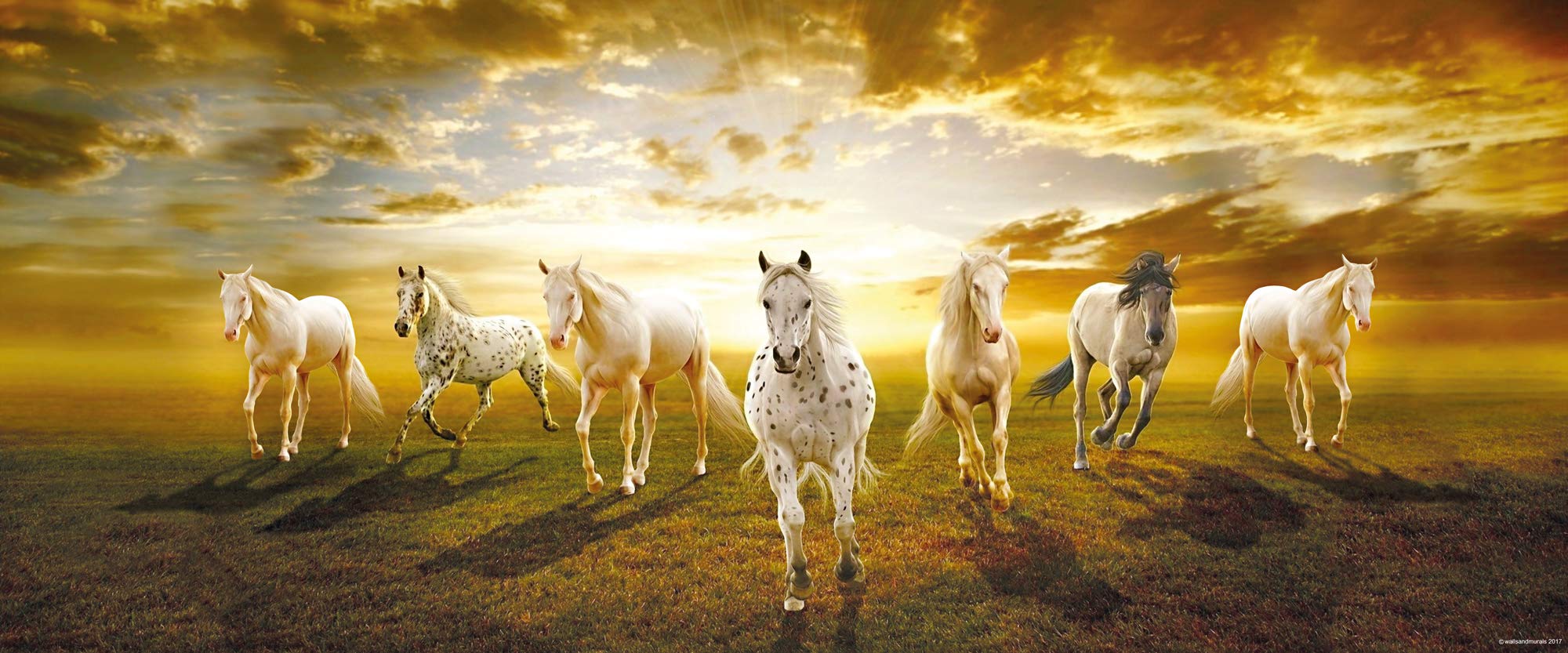 Seven Running Horses Wallpapers - Top Free Seven Running Horses ...