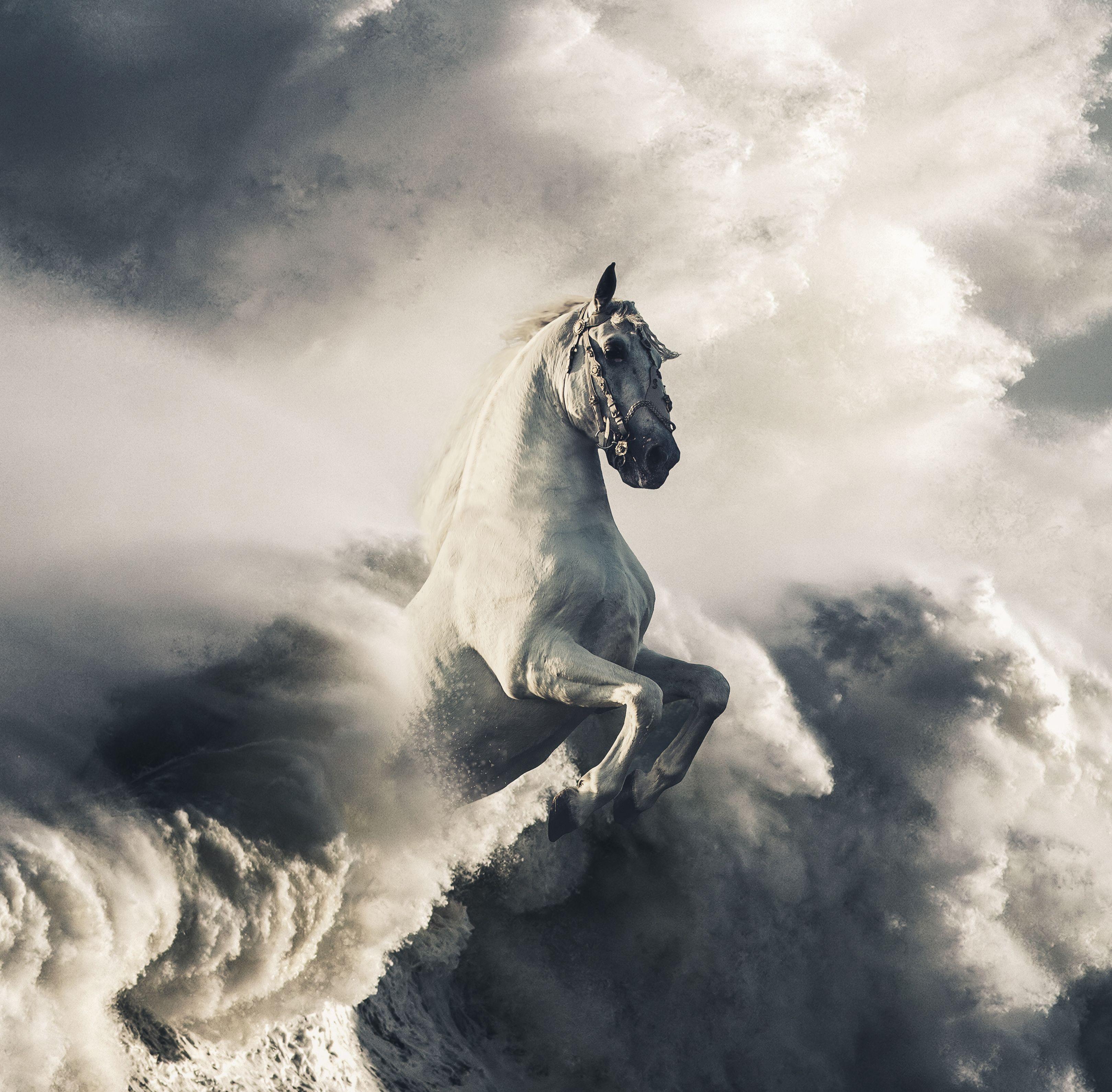 Pegasus Wallpapers - Top Free Pegasus Backgrounds - WallpaperAccess