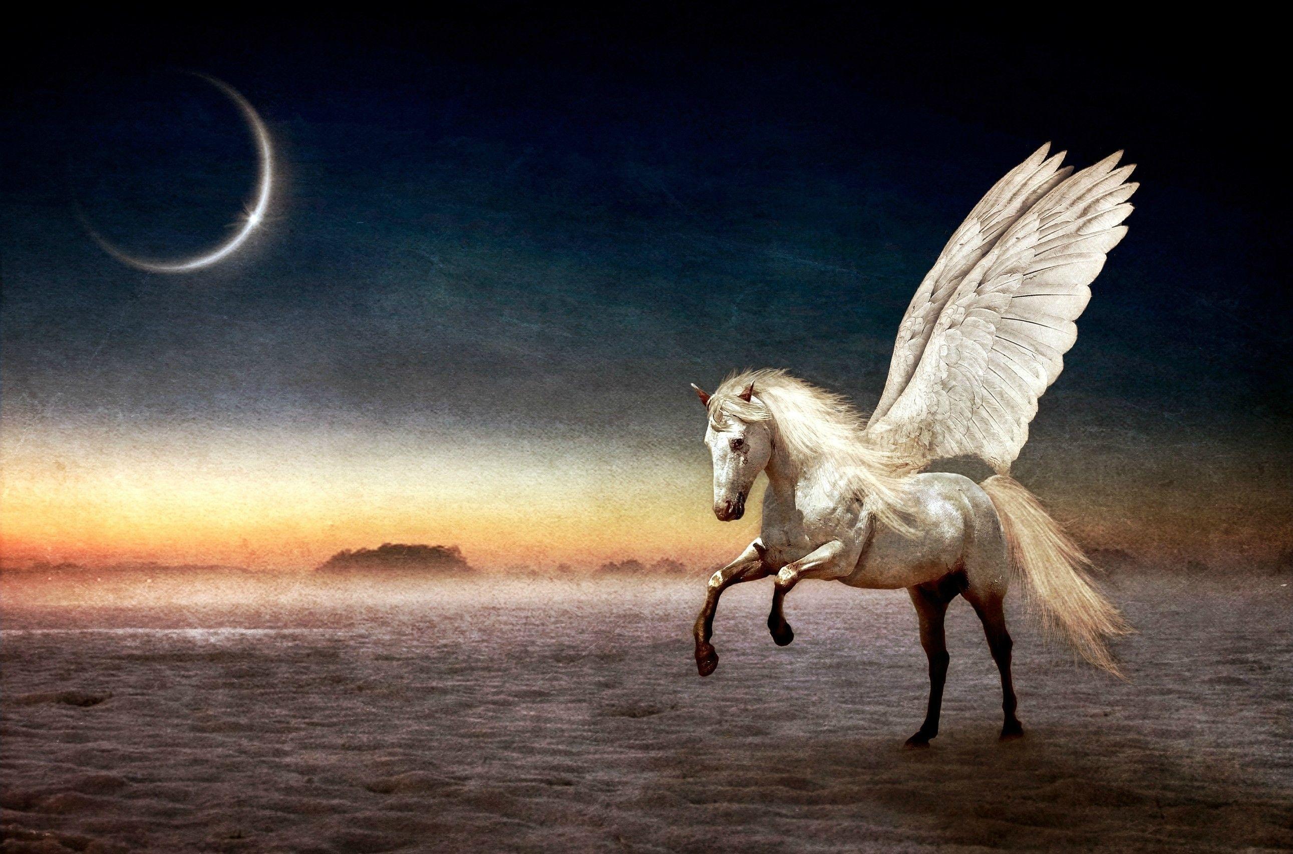 Pegasus Wallpapers - Top Free Pegasus Backgrounds - WallpaperAccess