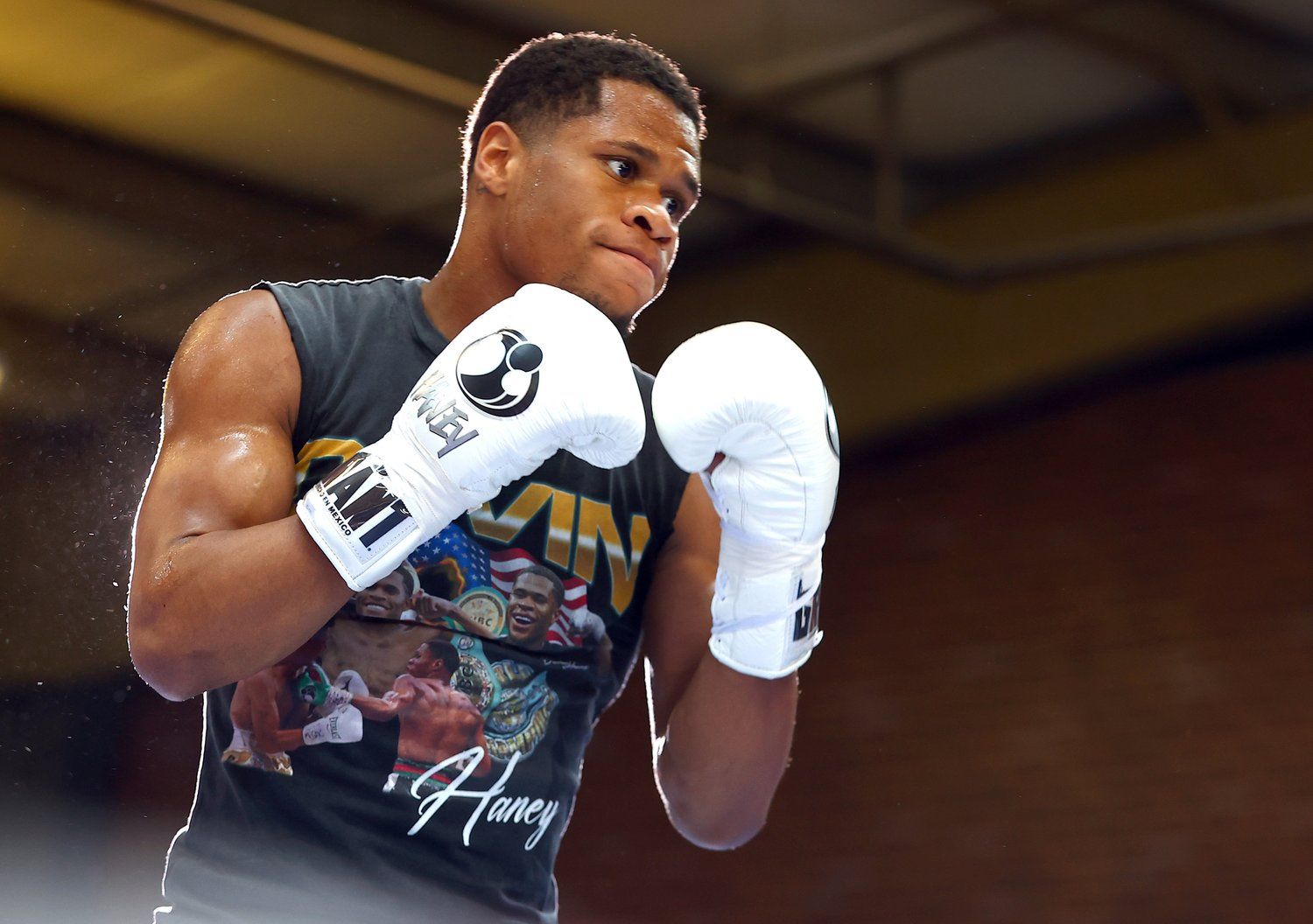 Devin Haney Wallpapers - Top Free Devin Haney Backgrounds - WallpaperAccess