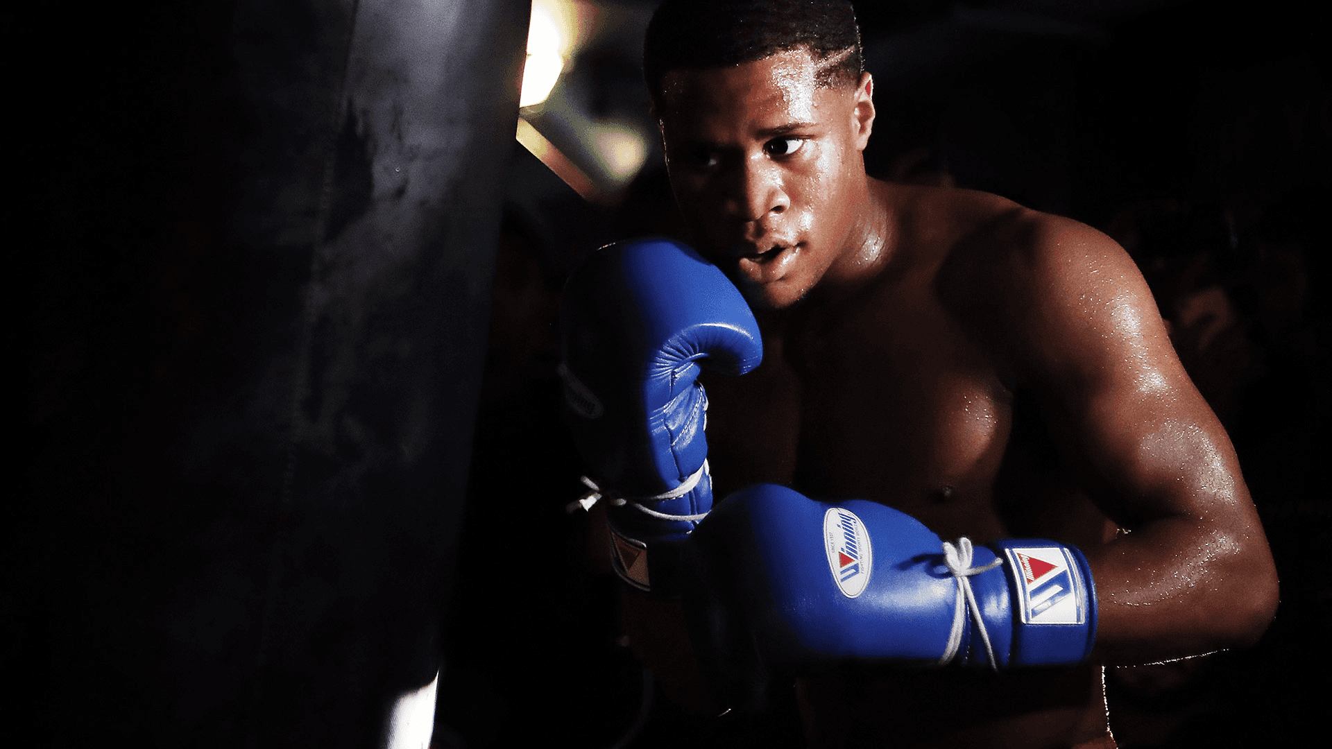 Devin Haney Wallpapers - Top Free Devin Haney Backgrounds - WallpaperAccess