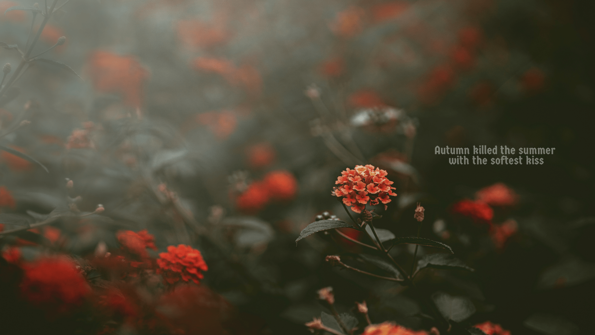 Cozy Summer Wallpapers - Top Free Cozy Summer Backgrounds - WallpaperAccess