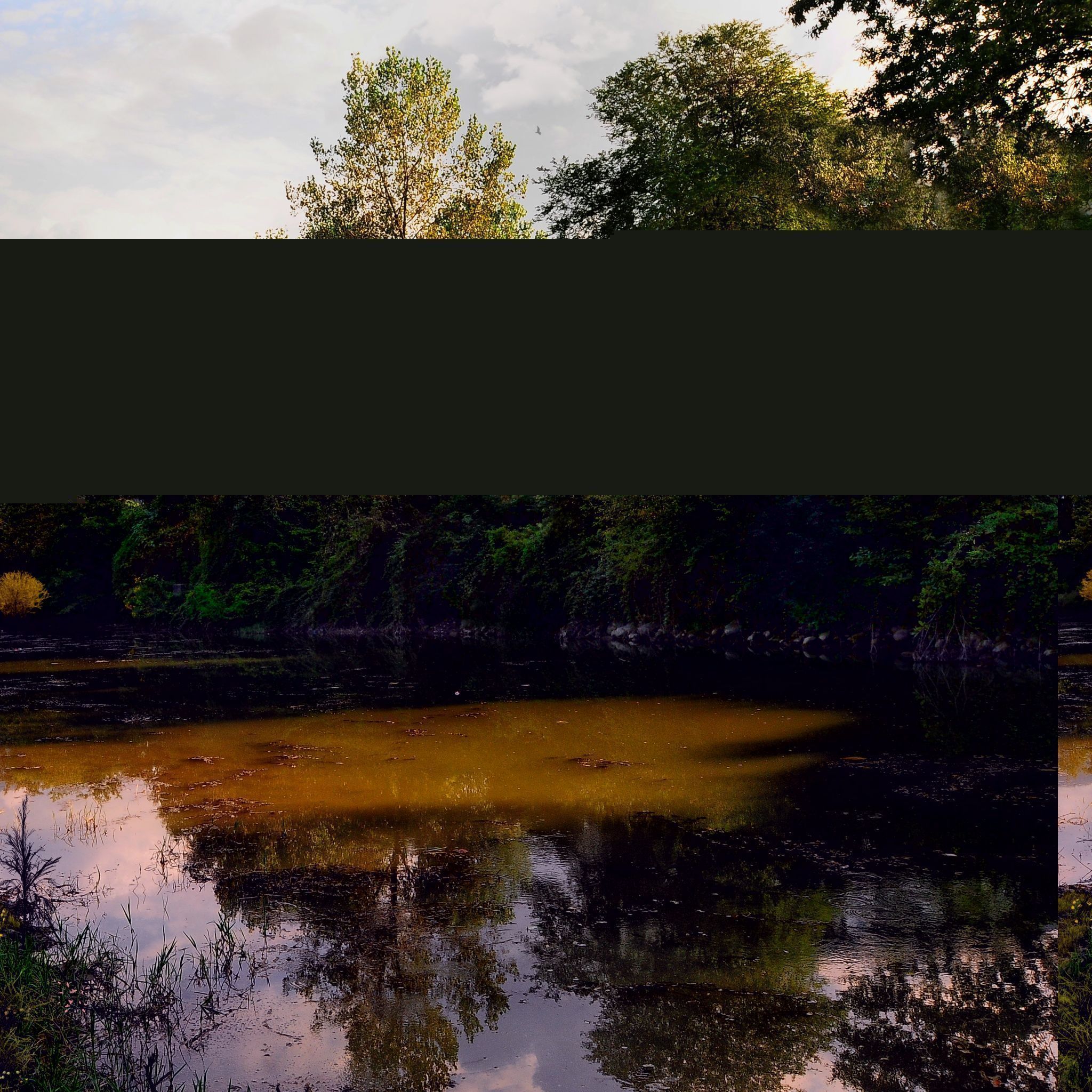 Ramsar Wallpapers - Top Free Ramsar Backgrounds - WallpaperAccess