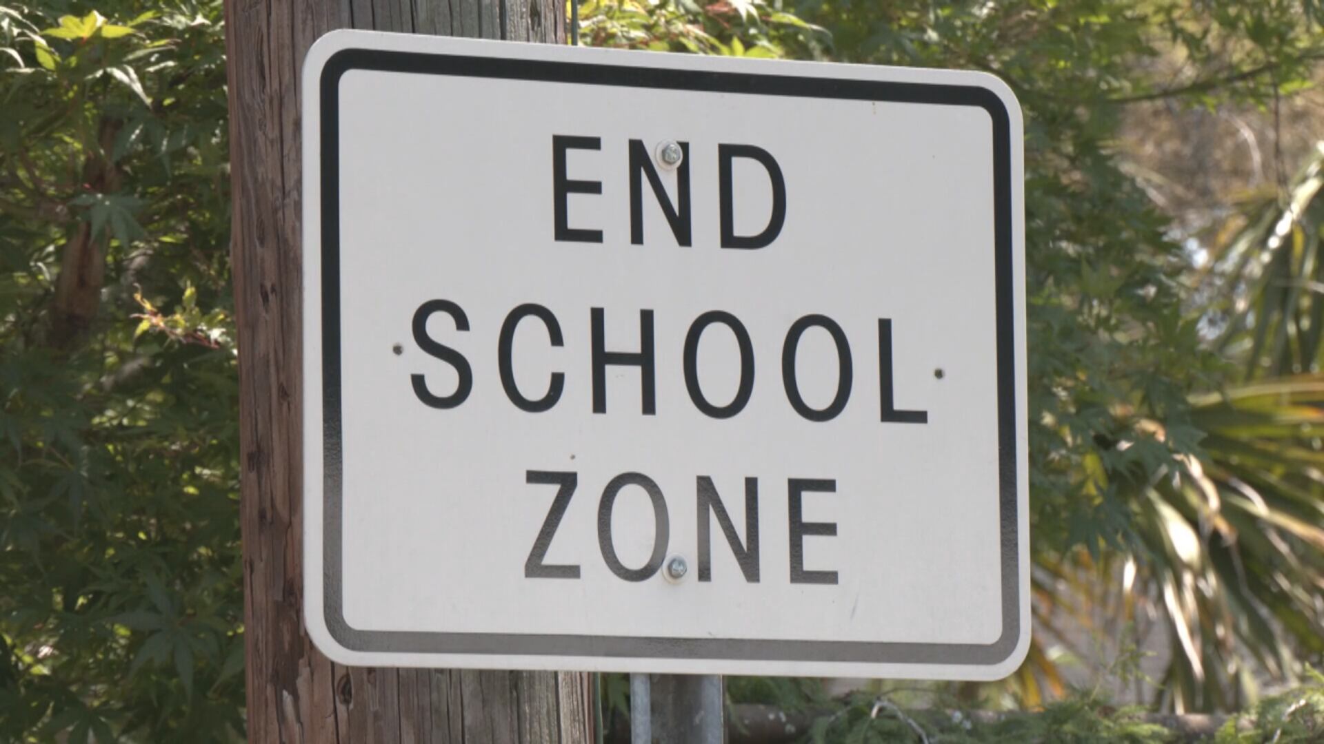 End Of School Wallpapers - Top Free End Of School Backgrounds ...