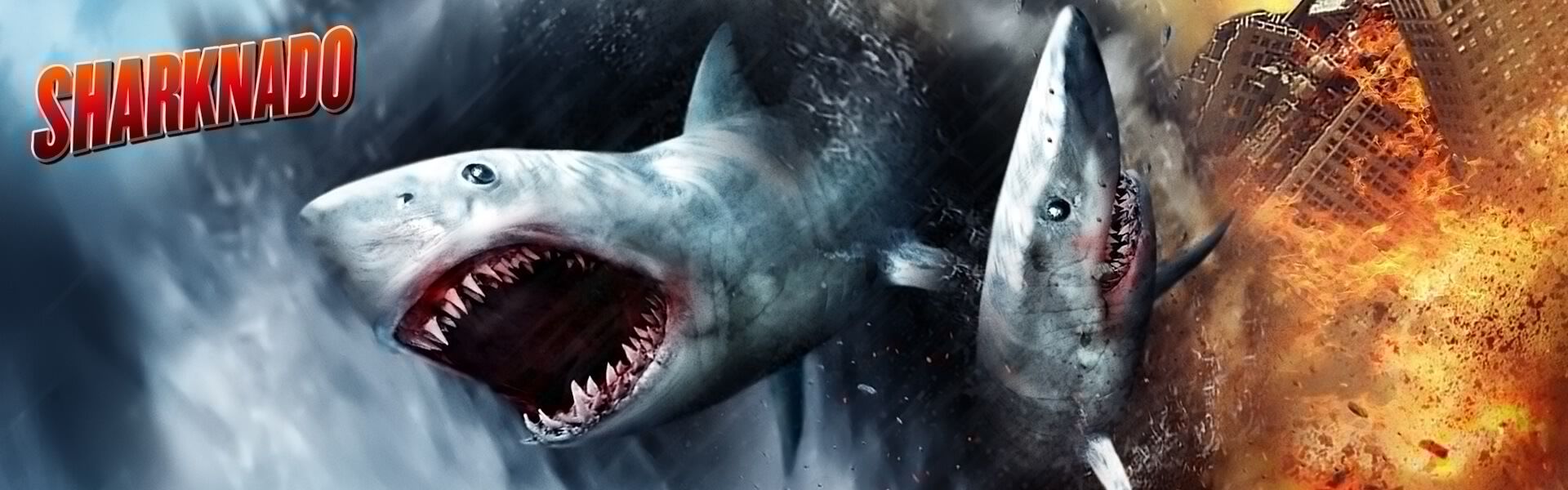 Sharknado Wallpapers - Top Free Sharknado Backgrounds - WallpaperAccess