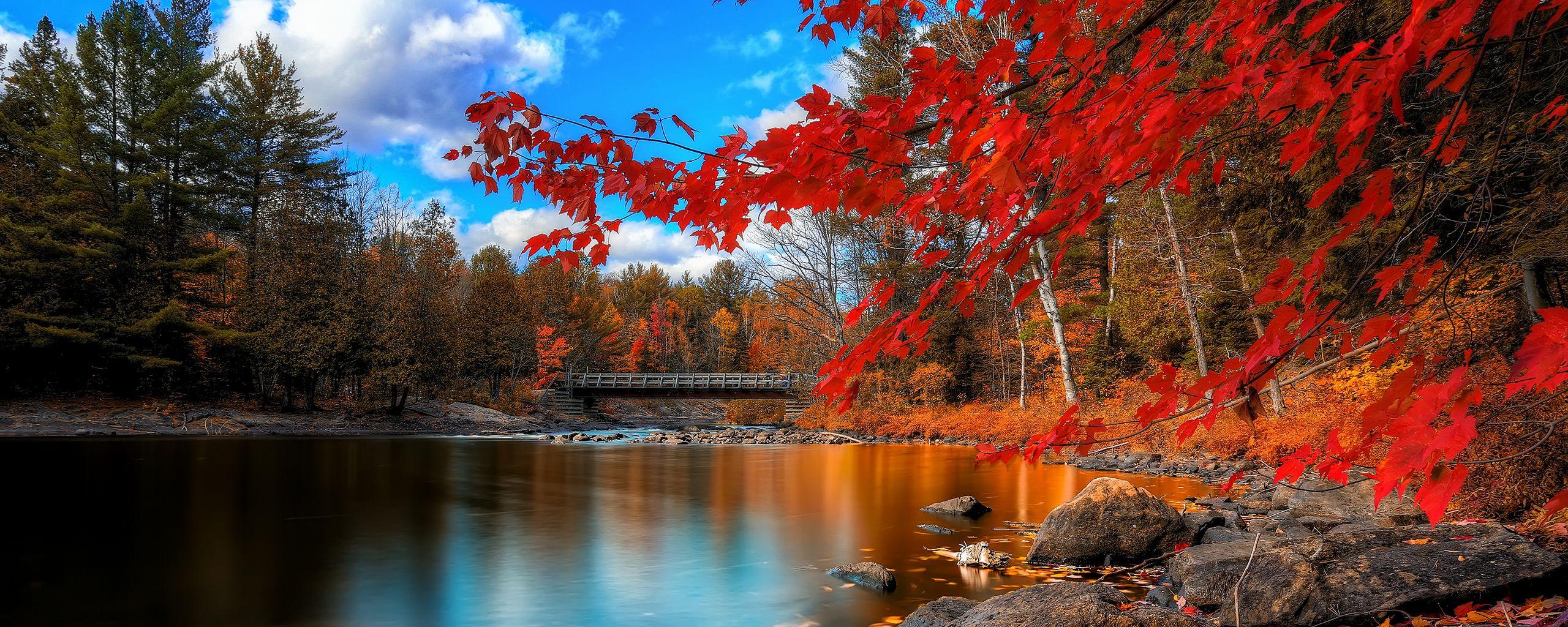 Dual Monitor Autumn Wallpapers - Top Free Dual Monitor Autumn ...