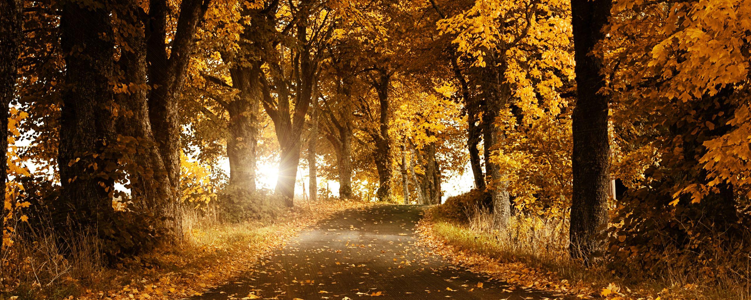 Fall Dual Monitor Wallpapers - Top Free Fall Dual Monitor Backgrounds ...