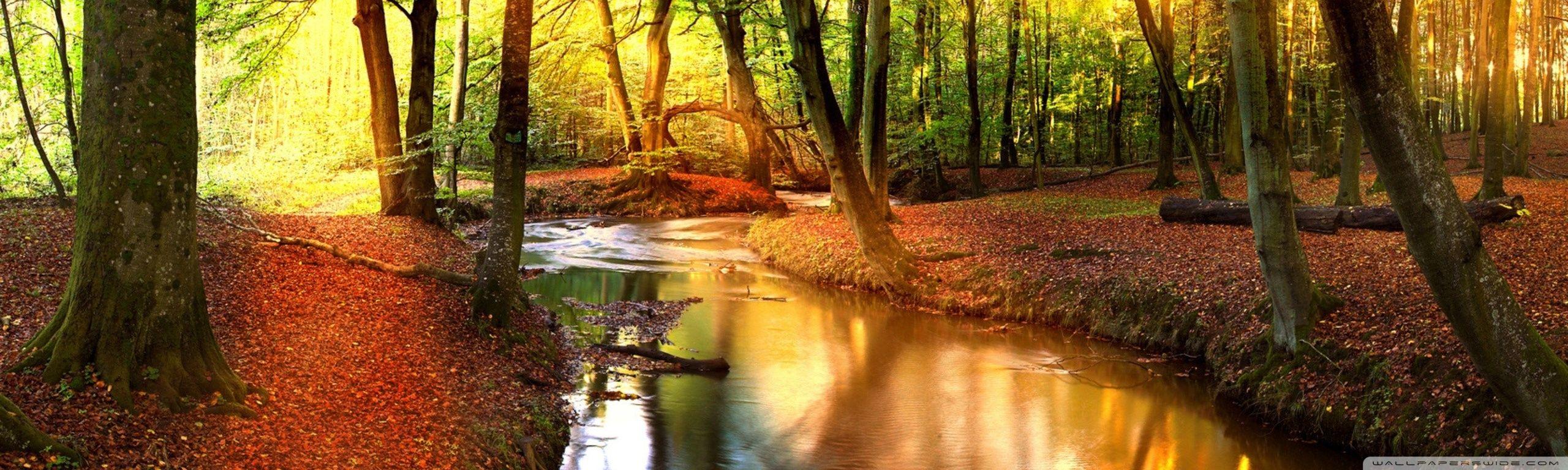 Dual Monitor Autumn Wallpapers - Top Free Dual Monitor Autumn ...