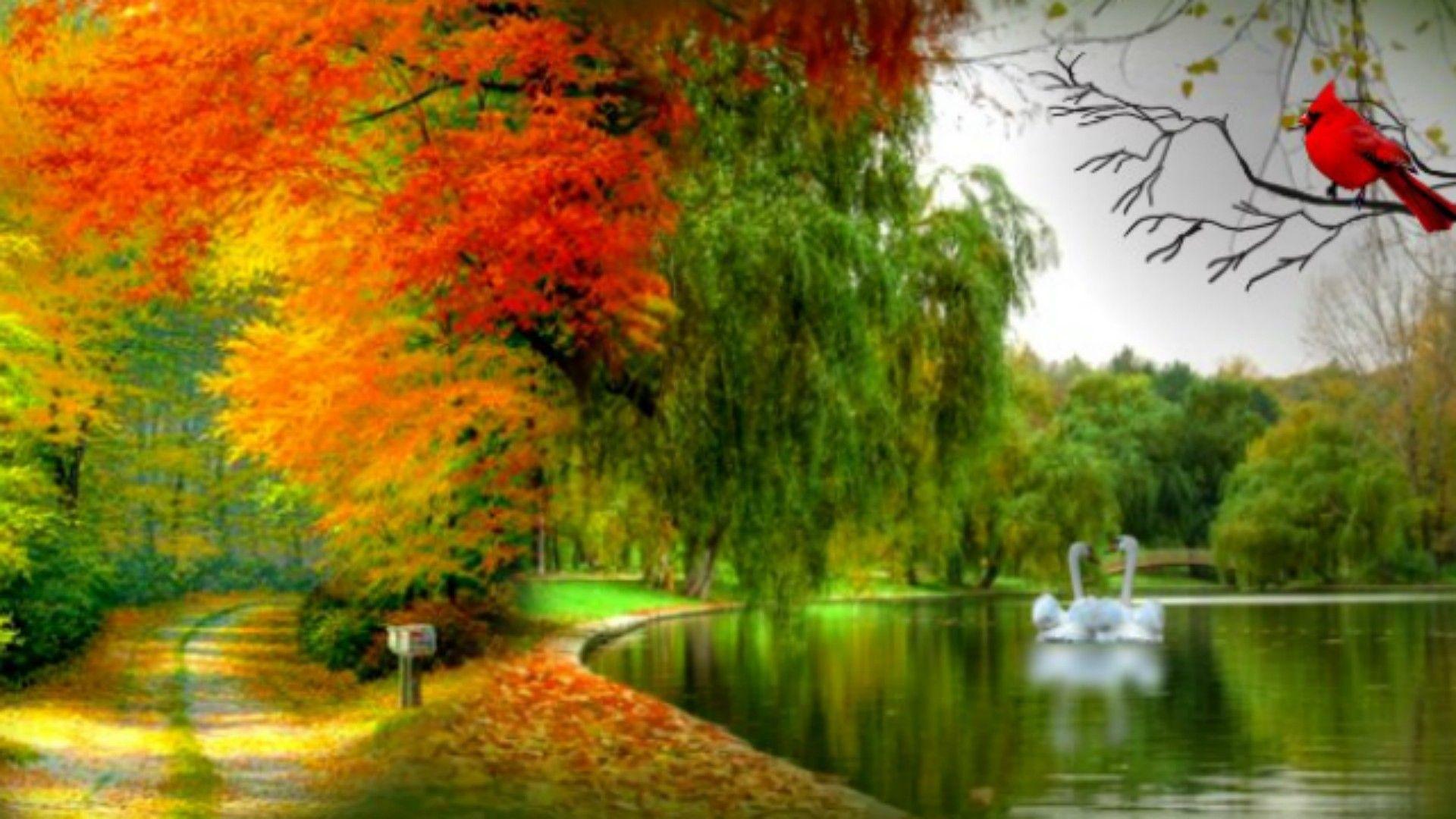 Beautiful Thanksgiving Wallpapers - Top Free Beautiful Thanksgiving ...