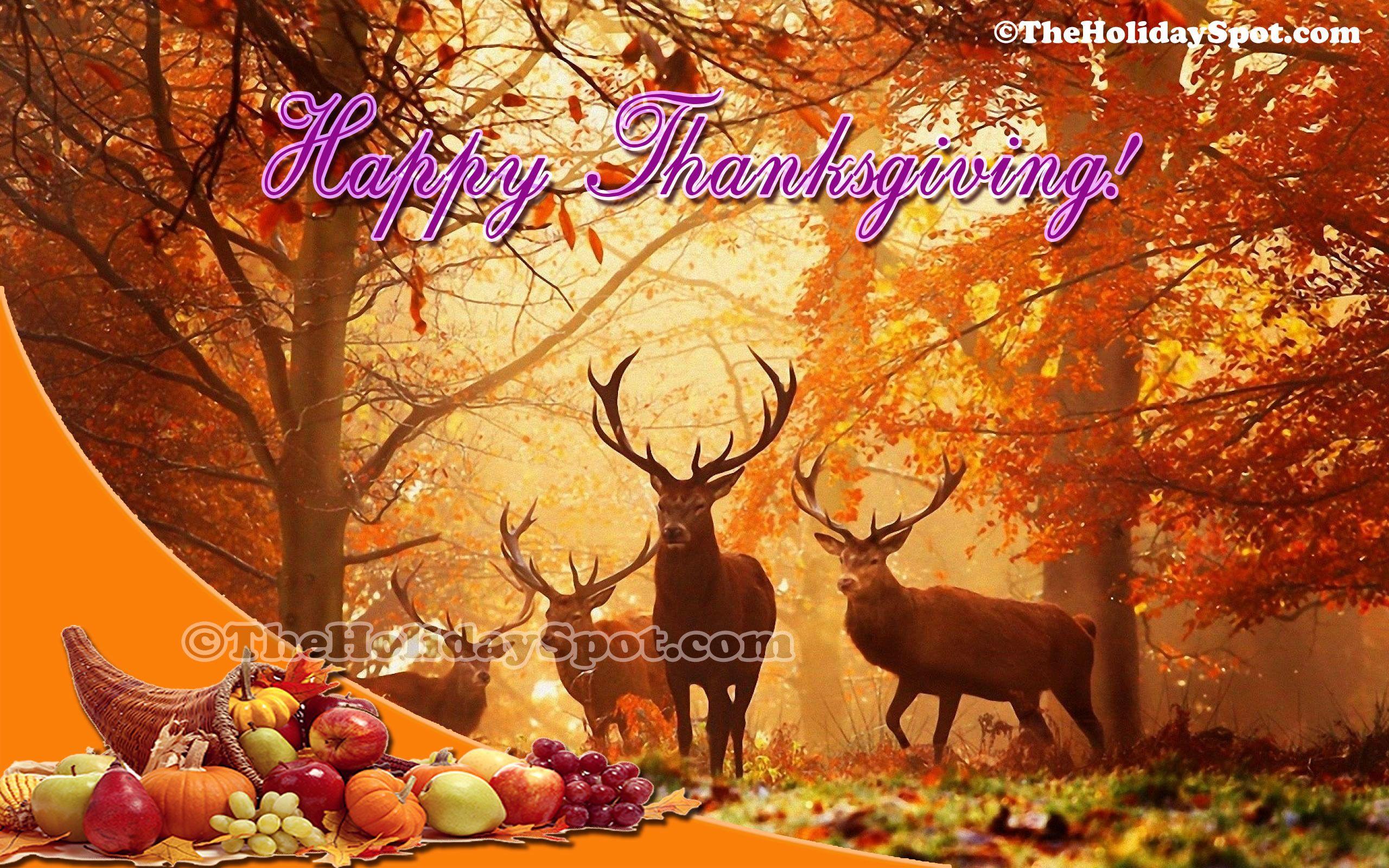 Fall Thanksgiving Wallpapers - Top Free Fall Thanksgiving Backgrounds ...