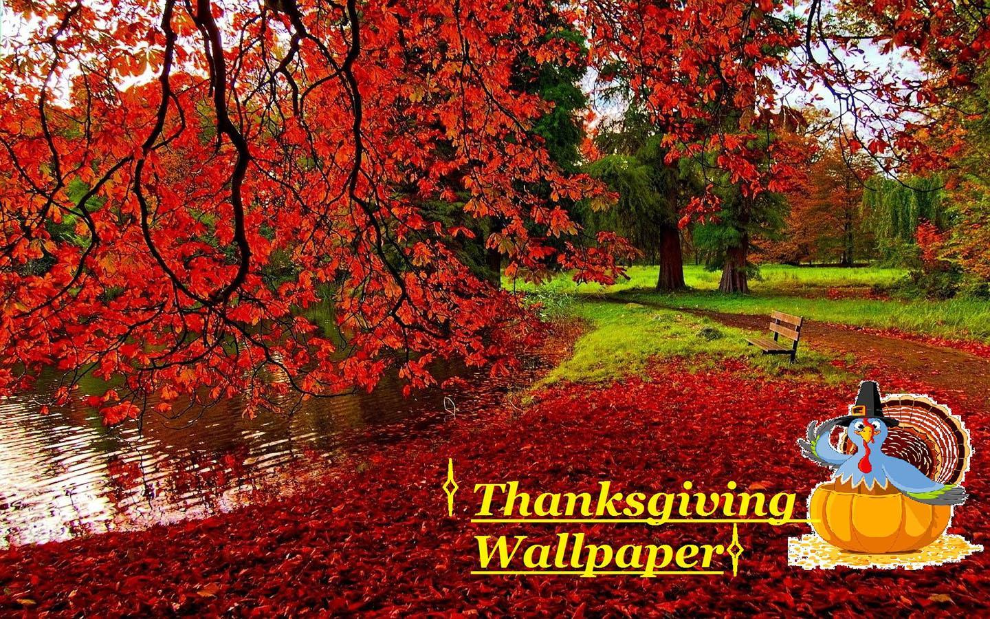 Beautiful Thanksgiving Wallpapers - Top Free Beautiful Thanksgiving ...