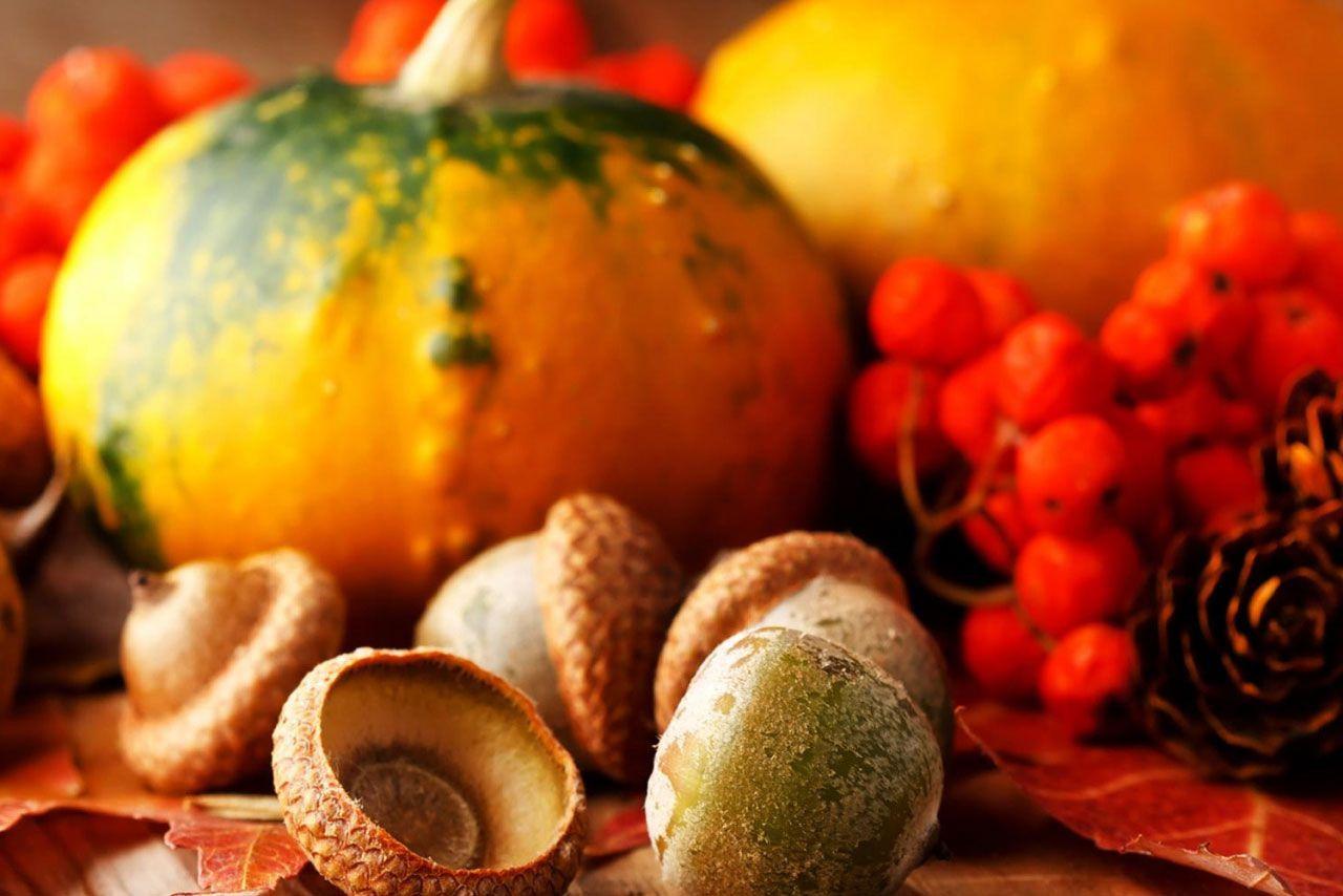 Thanksgiving Table Wallpapers - Top Free Thanksgiving Table Backgrounds ...