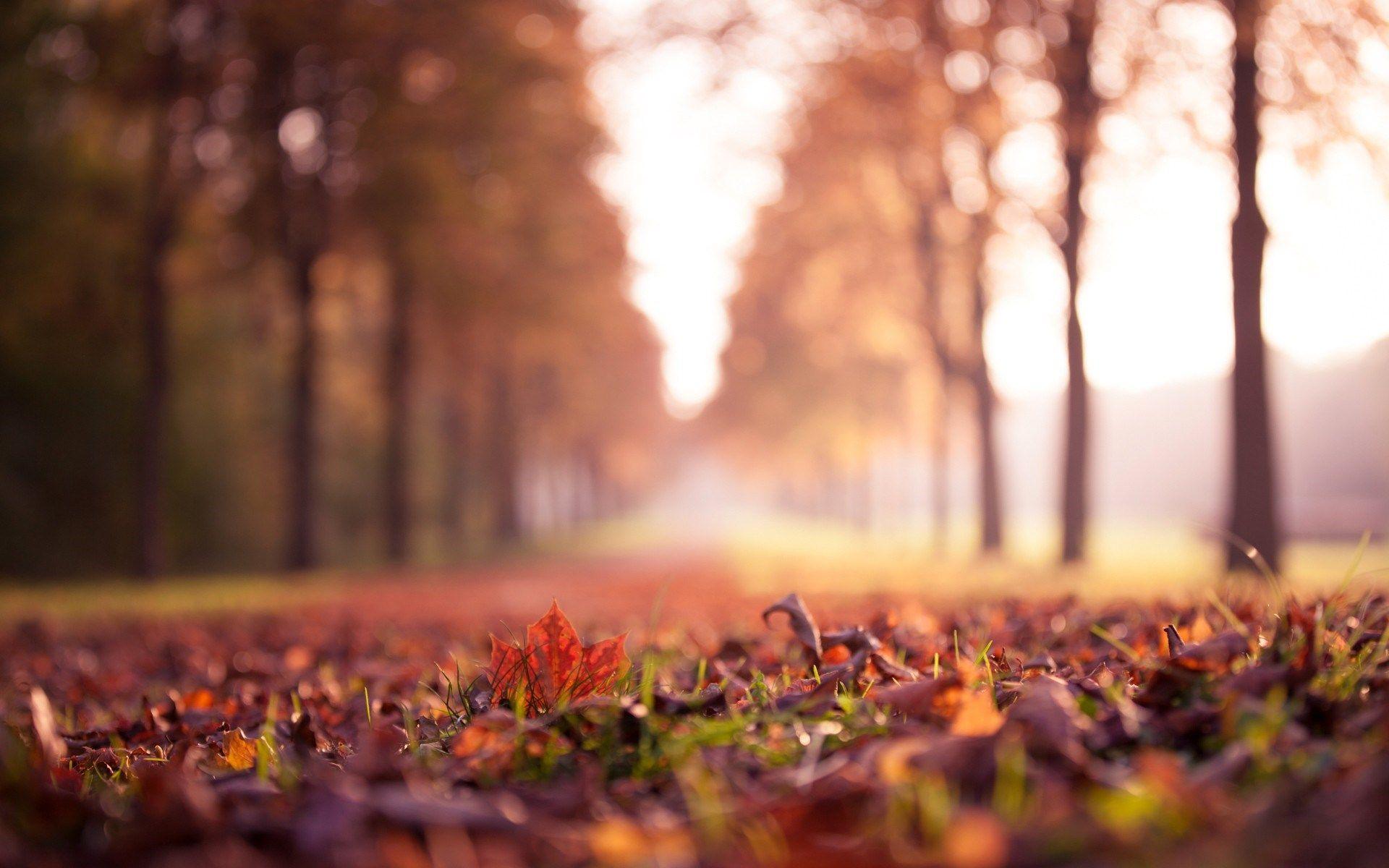 Vintage Autumn Wallpapers - Top Free Vintage Autumn Backgrounds ...