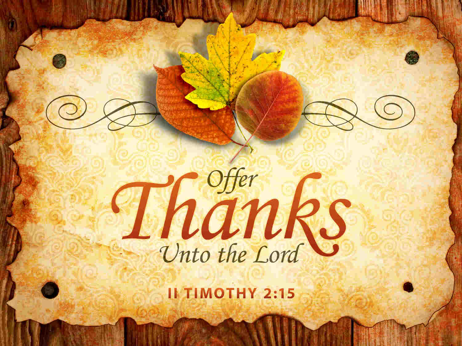 Bible Thanksgiving Wallpapers - Top Free Bible Thanksgiving Backgrounds - WallpaperAccess