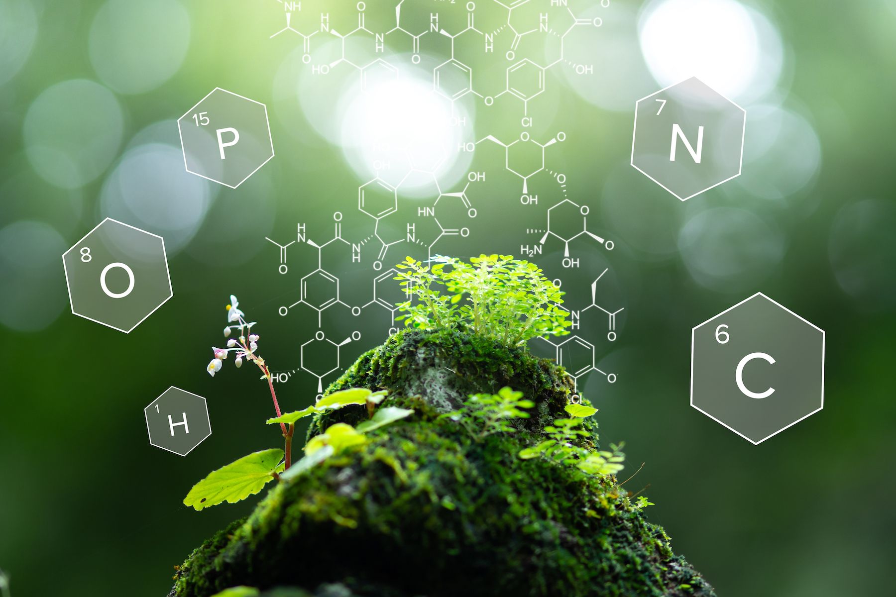 Life Science Wallpapers - Top Free Life Science Backgrounds ...