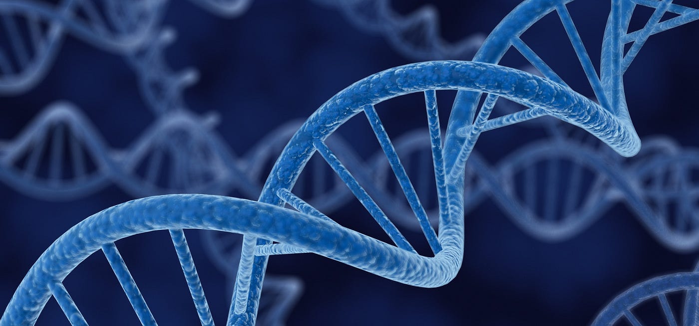 Life Science Wallpapers - Top Free Life Science Backgrounds ...
