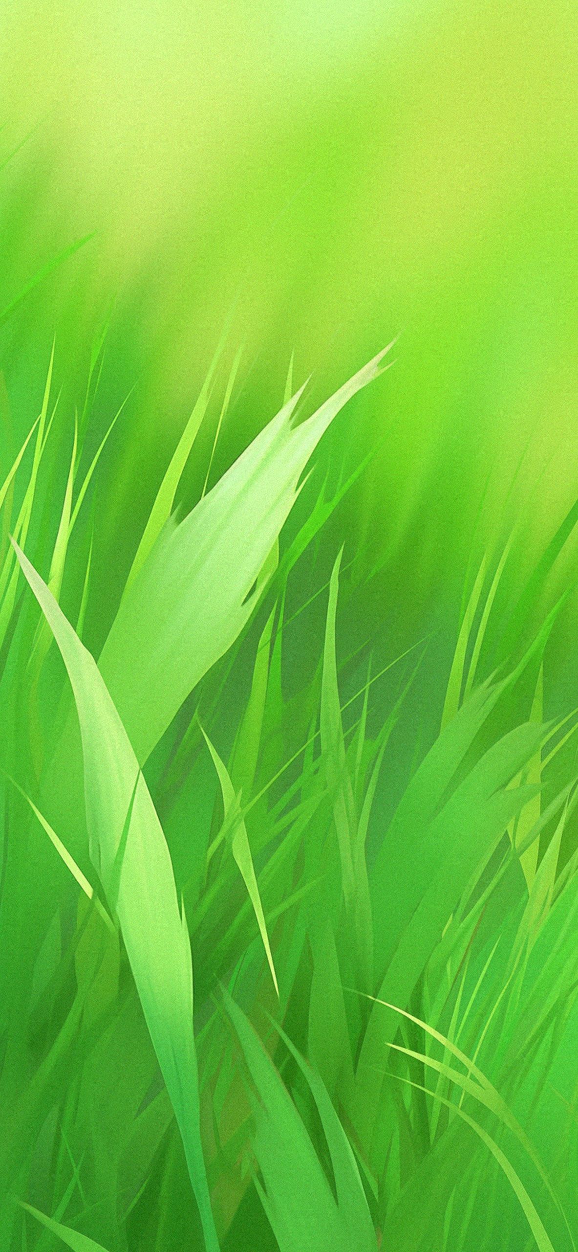 Fresh Green Wallpapers - Top Free Fresh Green Backgrounds - WallpaperAccess