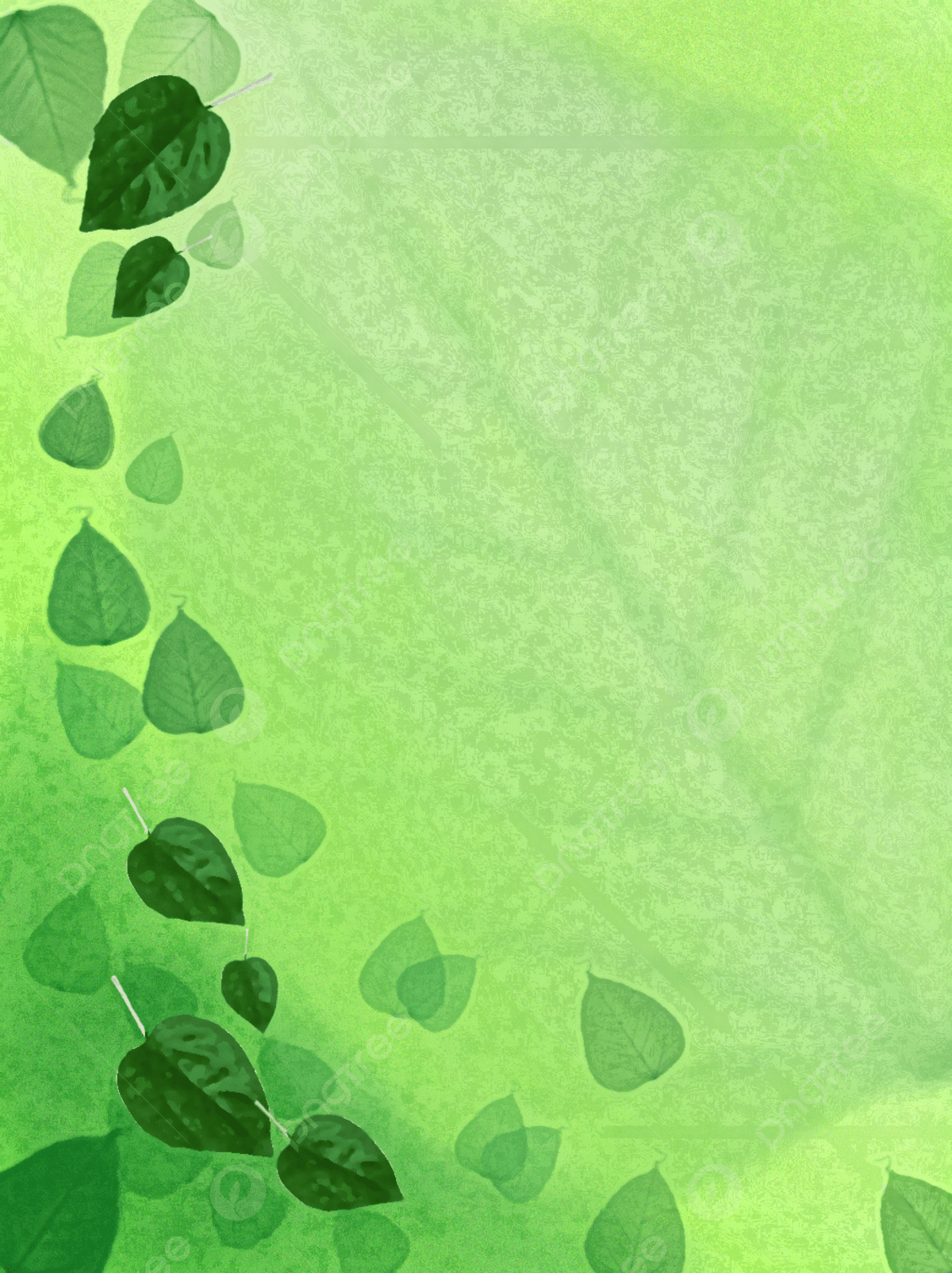 Fresh Green Wallpapers - Top Free Fresh Green Backgrounds - WallpaperAccess