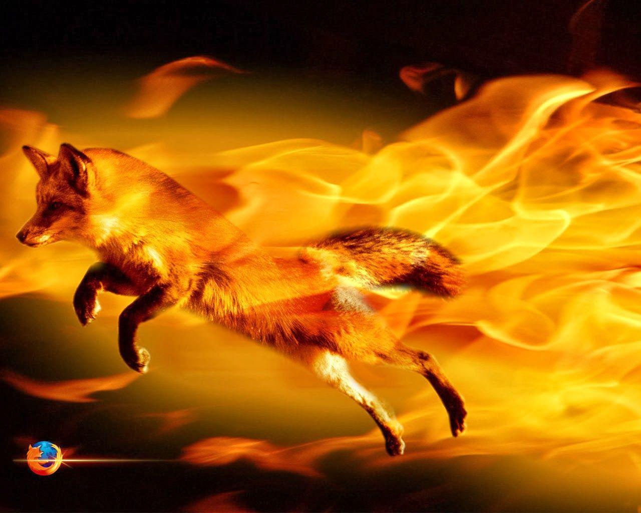 Fire Cat Wallpapers - Top Free Fire Cat Backgrounds - WallpaperAccess