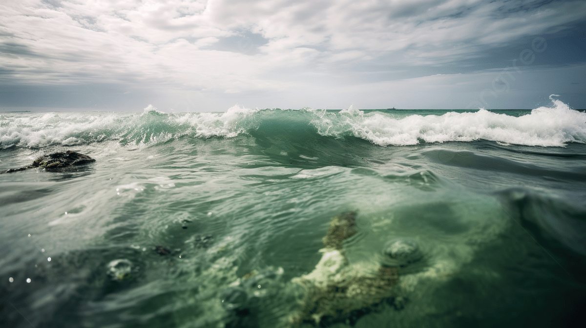 Ocean Pollution Wallpapers - Top Free Ocean Pollution Backgrounds ...