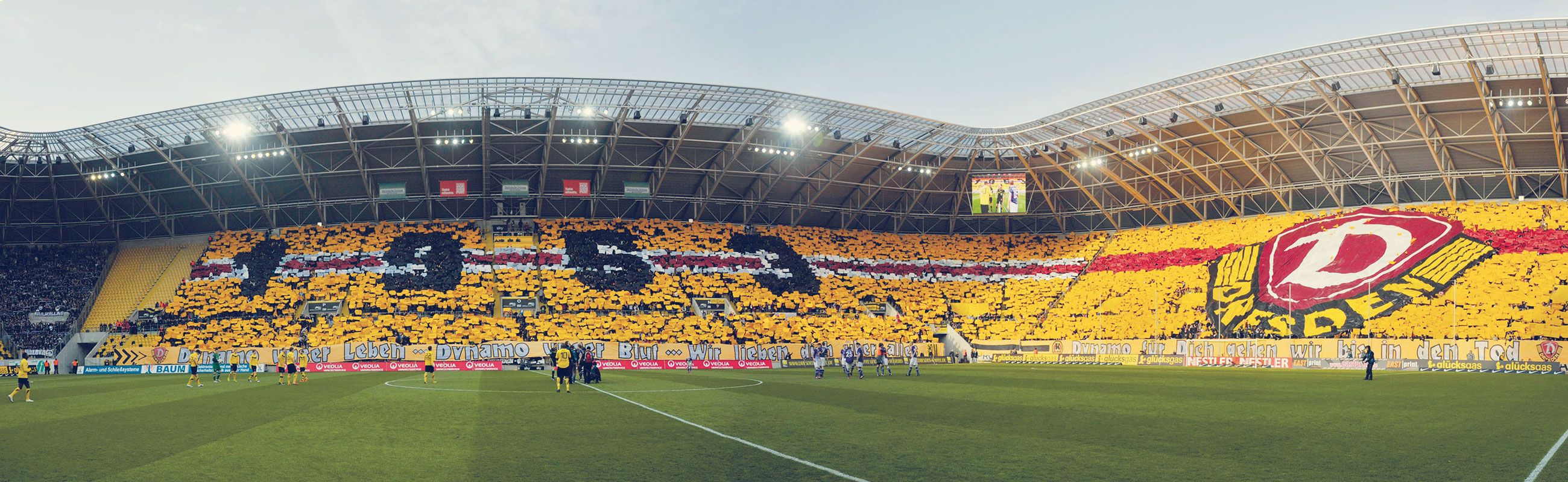 Dynamo Dresden Wallpapers - Top Free Dynamo Dresden Backgrounds ...