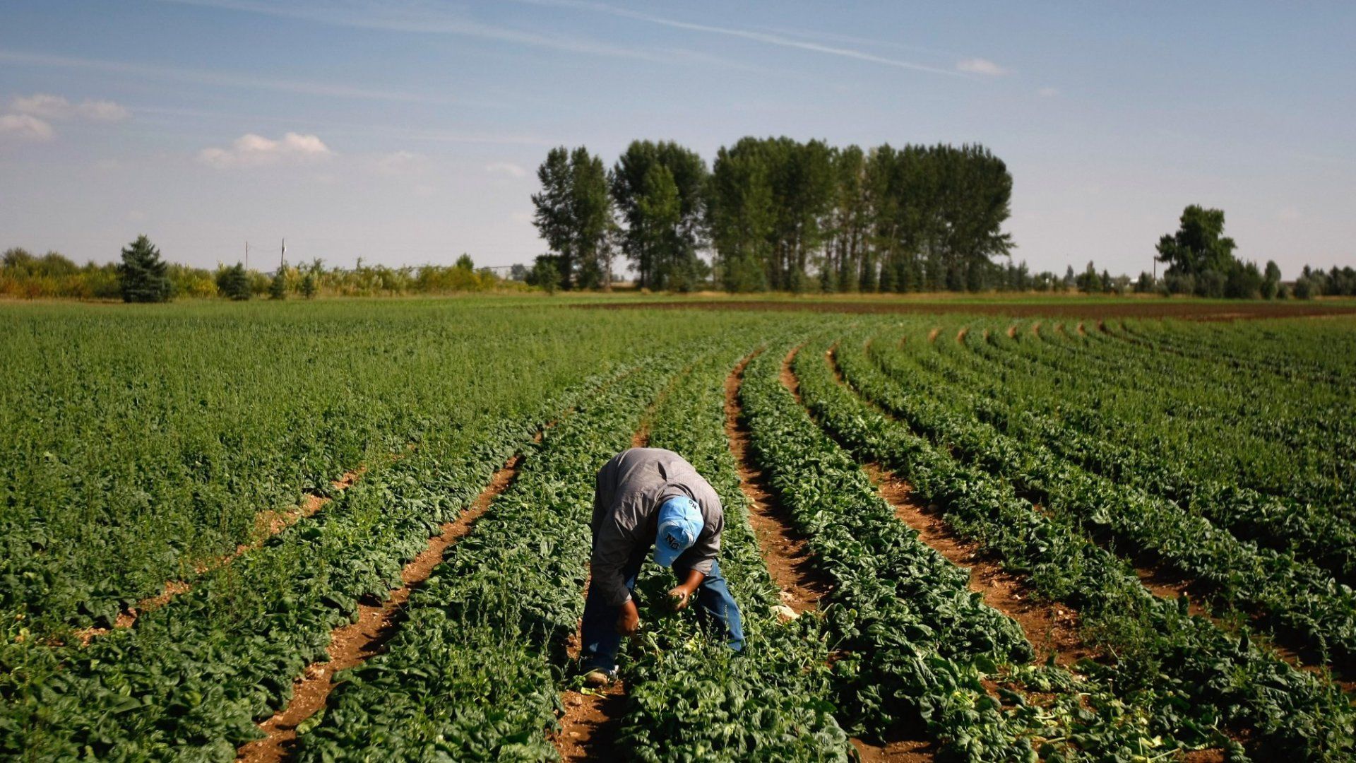 Agriculture Technology Wallpapers - Top Free Agriculture Technology ...
