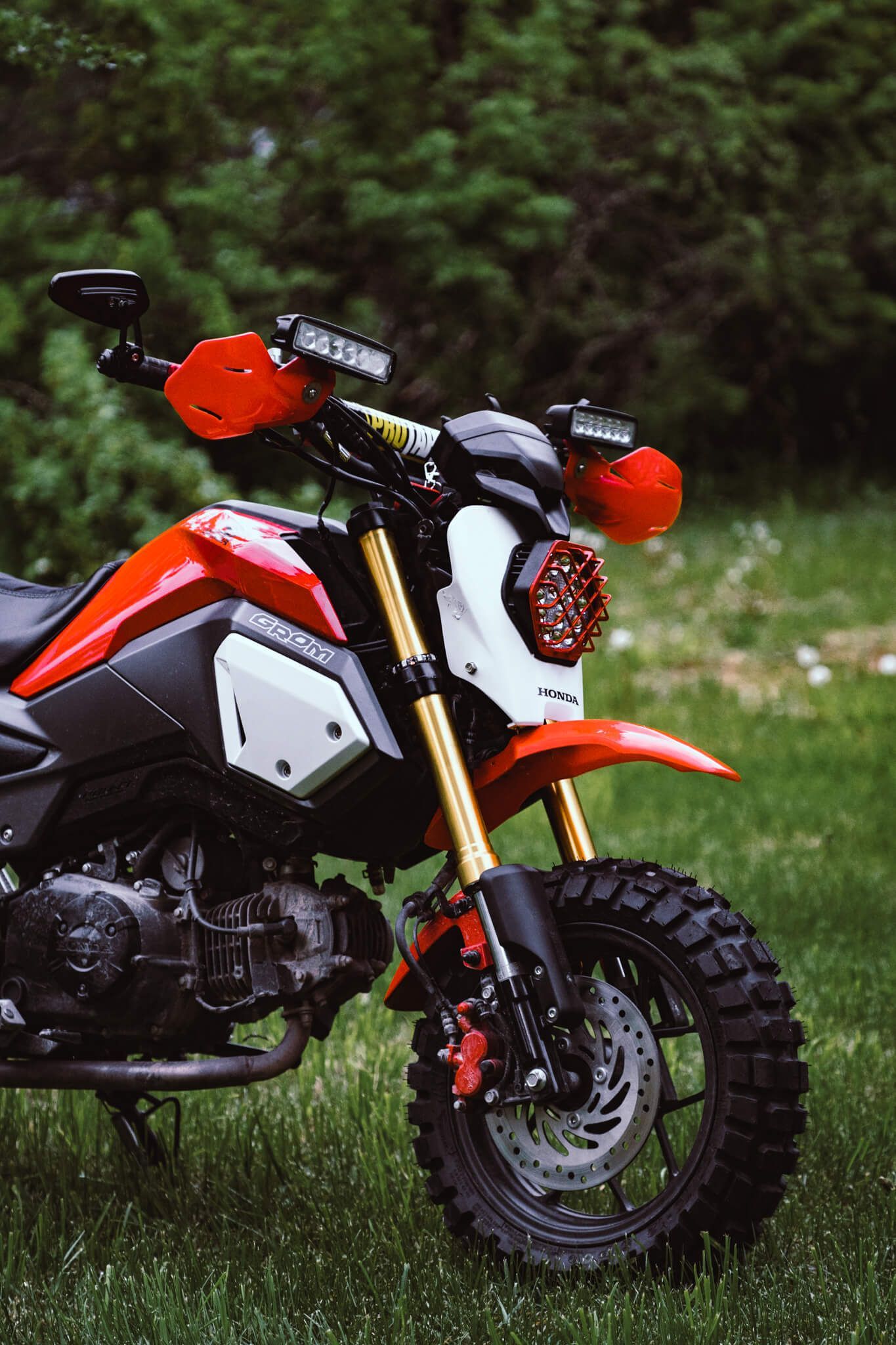 Honda Grom Wallpapers - Top Free Honda Grom Backgrounds - WallpaperAccess