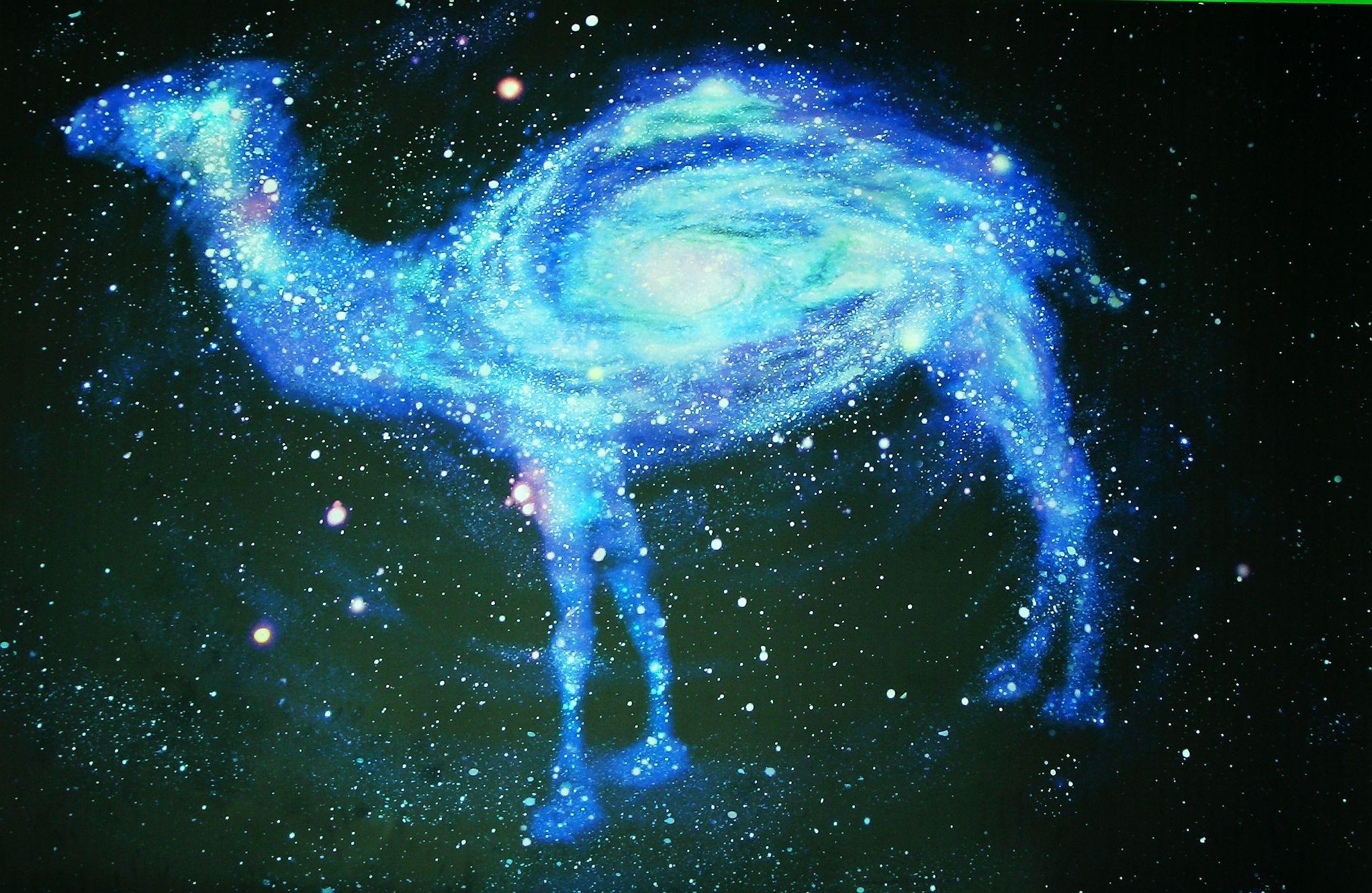 Camel Space Wallpapers - Top Free Camel Space Backgrounds - WallpaperAccess