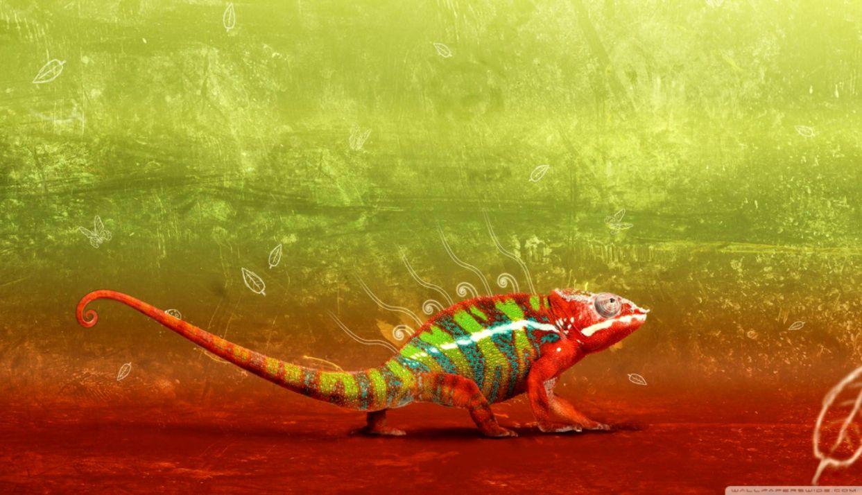 Chameleon Desktop Wallpapers - Top Free Chameleon Desktop Backgrounds ...