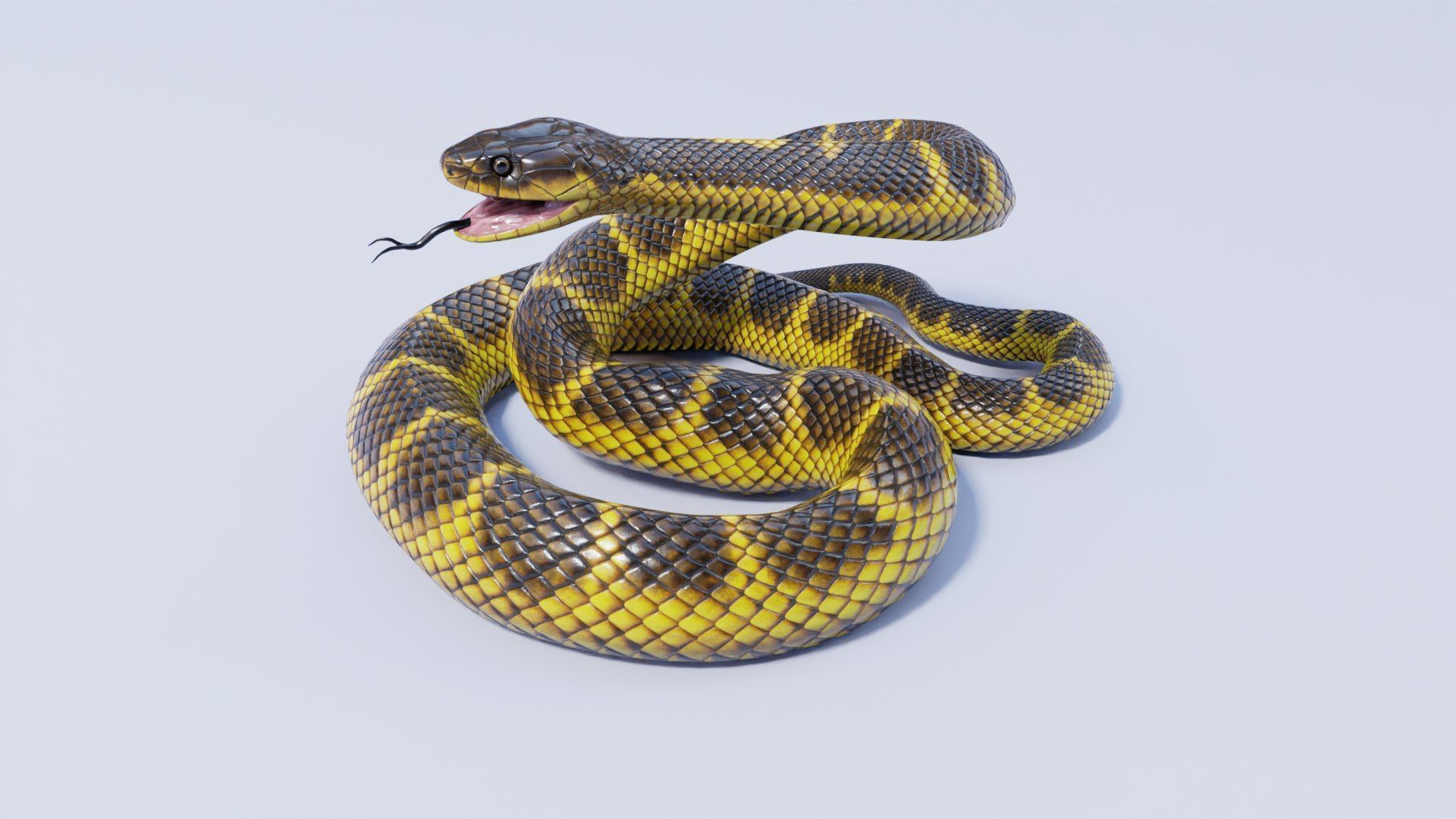 Tiger Snake Wallpapers - Top Free Tiger Snake Backgrounds - WallpaperAccess