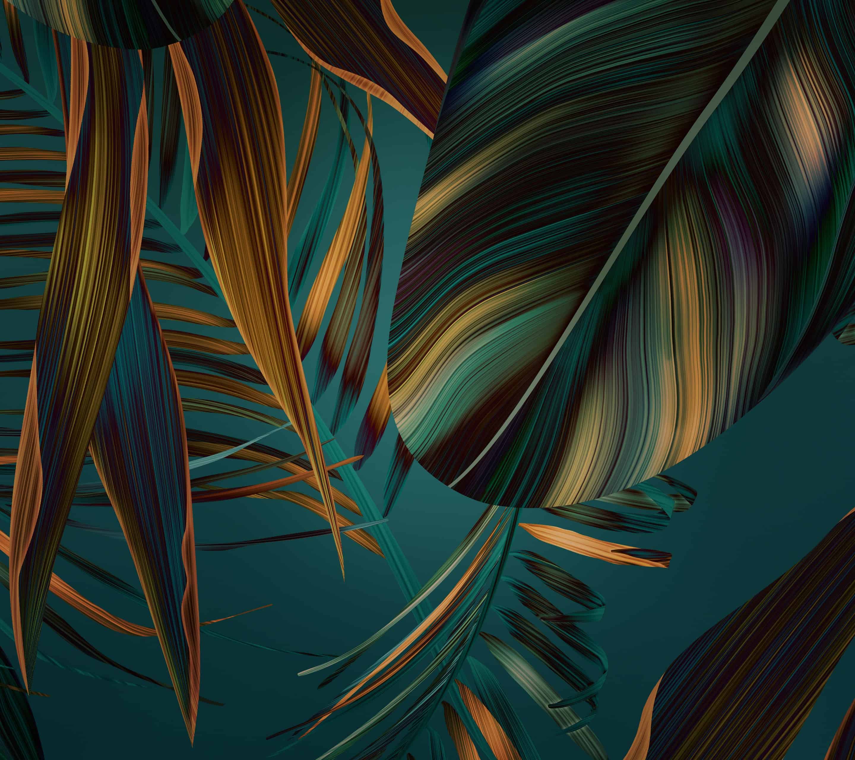 Huawei Nature Wallpapers - Top Free Huawei Nature Backgrounds ...