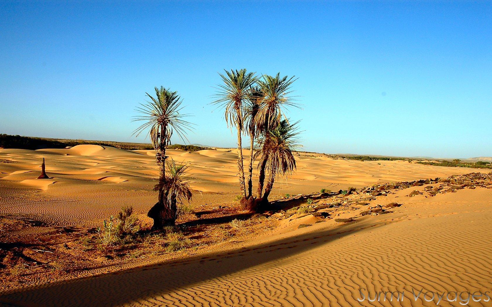 Mauritania Wallpapers - Top Free Mauritania Backgrounds - WallpaperAccess