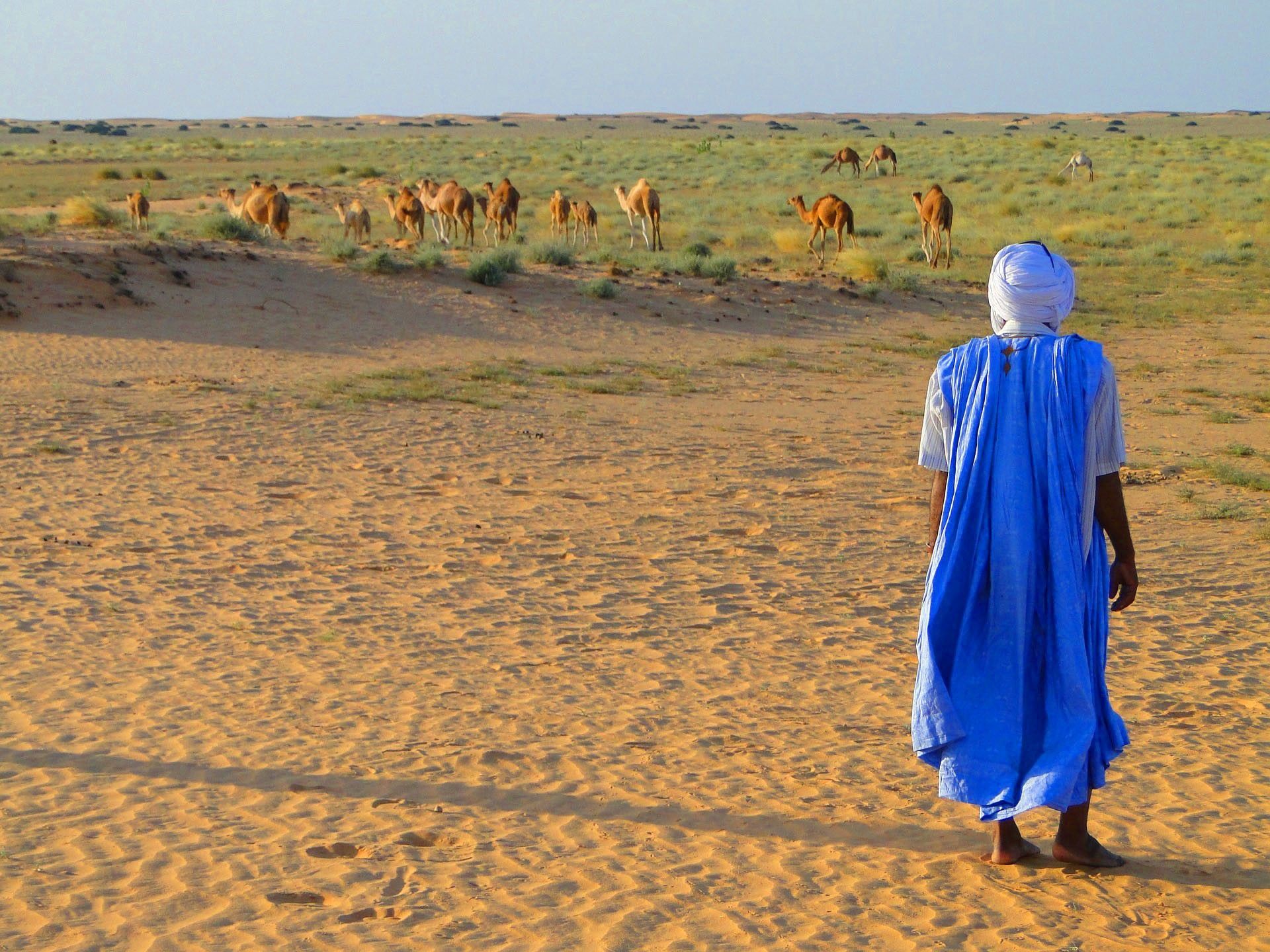 Mauritania Wallpapers - Top Free Mauritania Backgrounds - WallpaperAccess