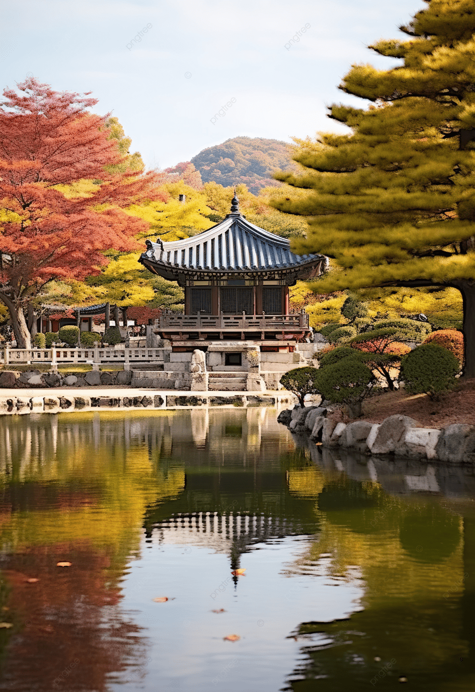 Seoul Spring Wallpapers - Top Free Seoul Spring Backgrounds ...